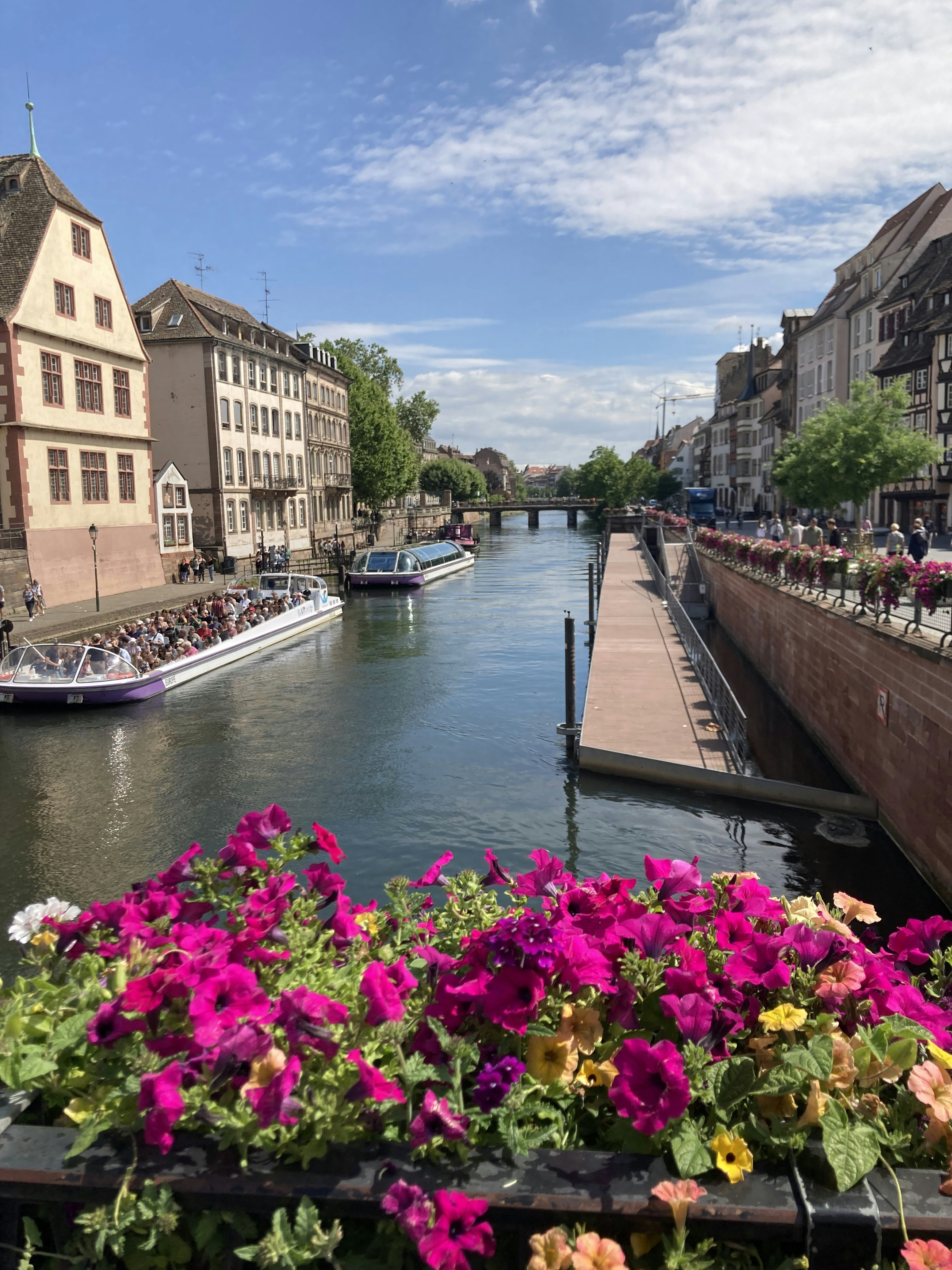 Canal Leap: Flowers over the Old Town Canal Edge