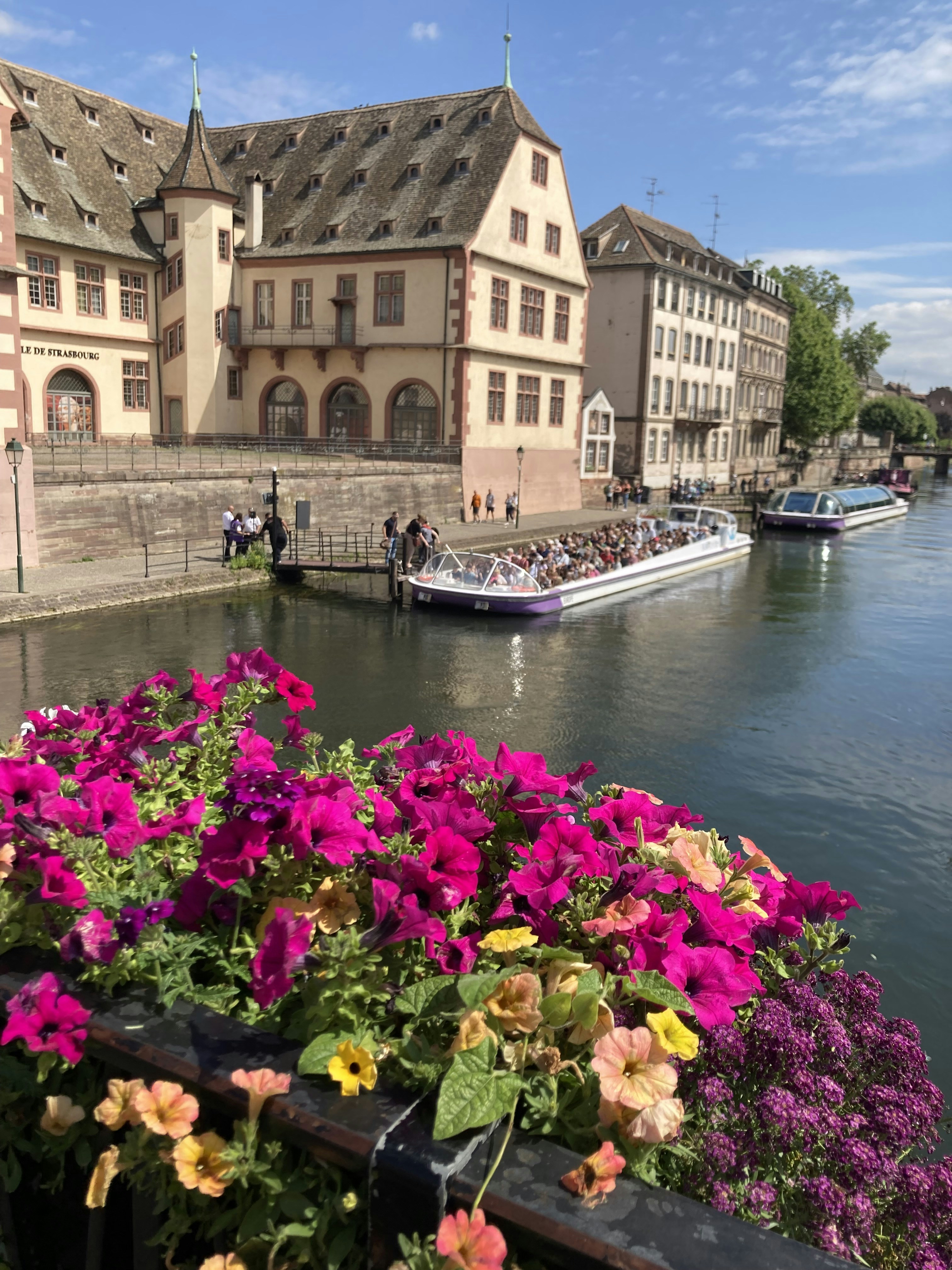 Photo by Maria Angel with Apple iPhone SE