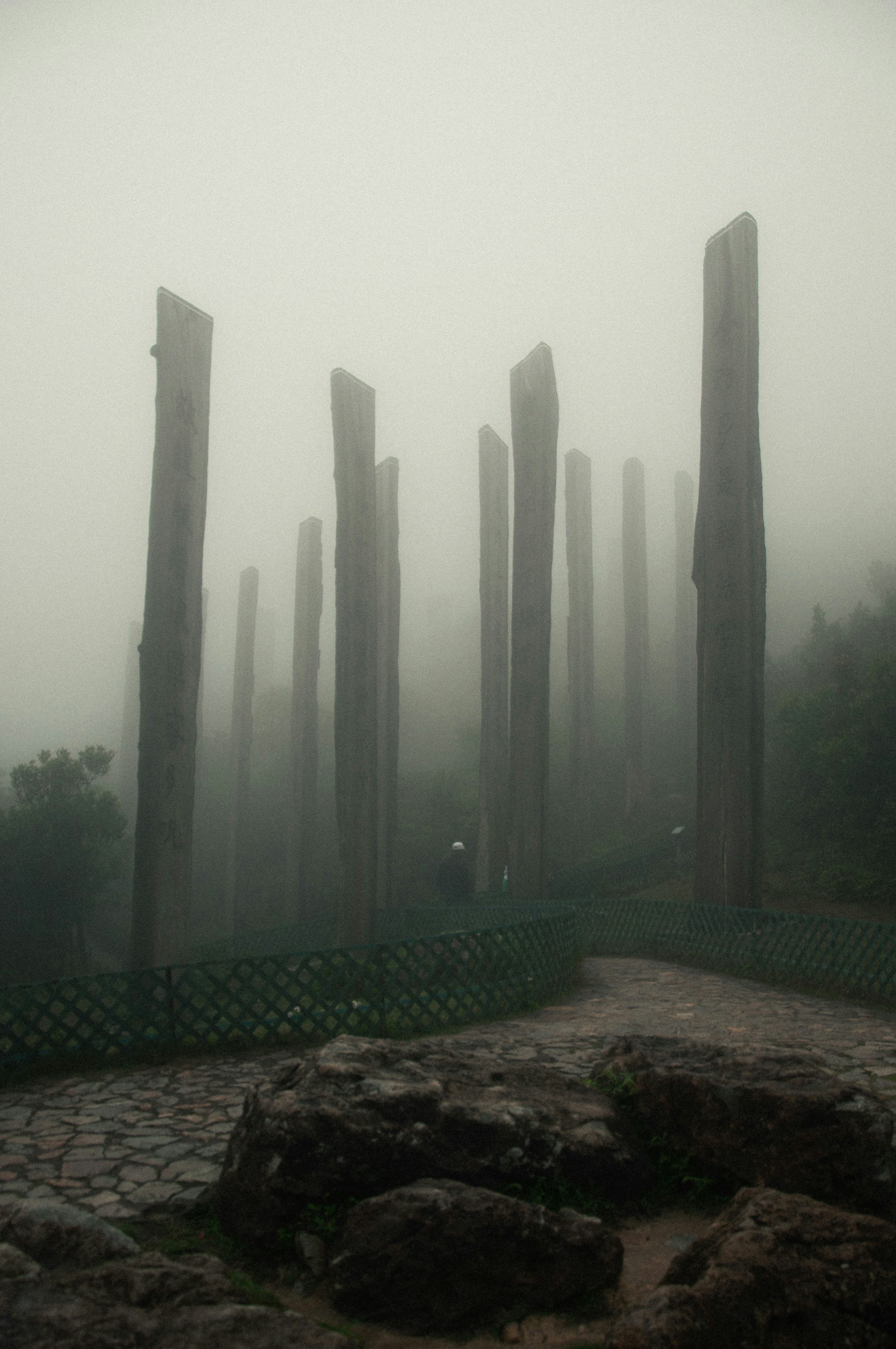 Mist-Shrouded Colonnade: Timber Spires in Quiet Fog