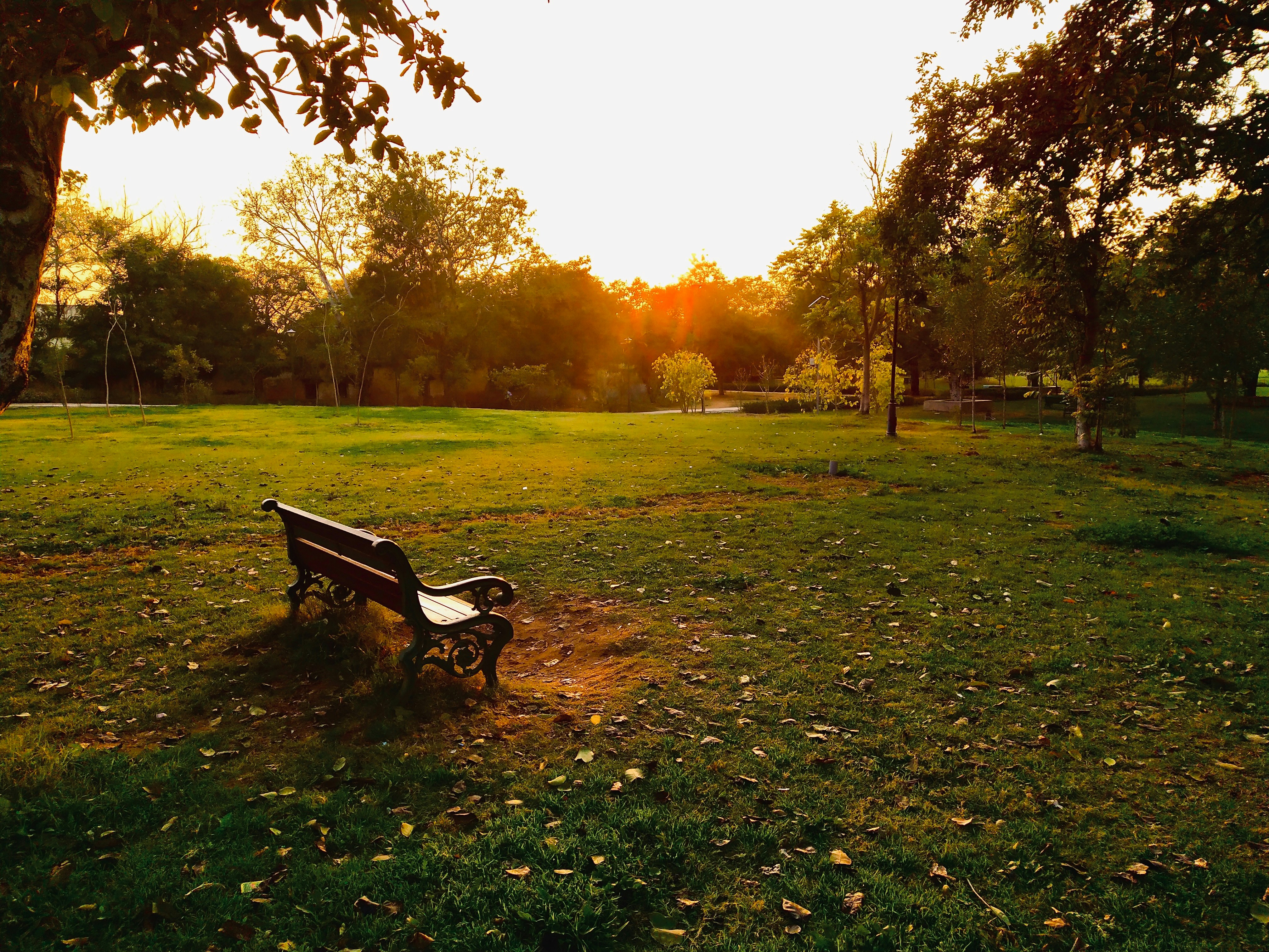 A park bench sitting in the middle of a field photo – Free Furniture ...