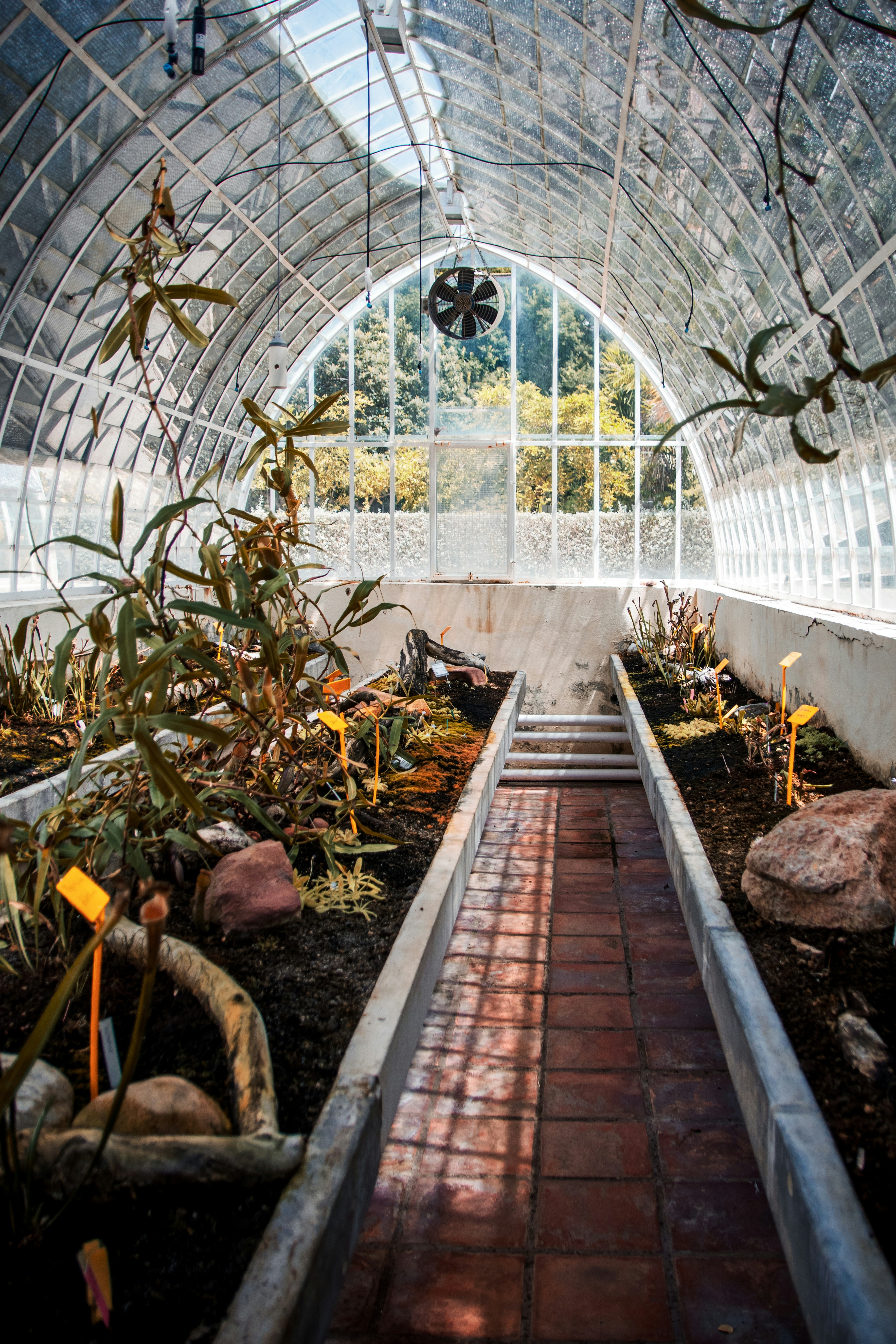 Aisle of Glass: Brick Path Toward the Circular Vent in a Sunlit Greenhouse