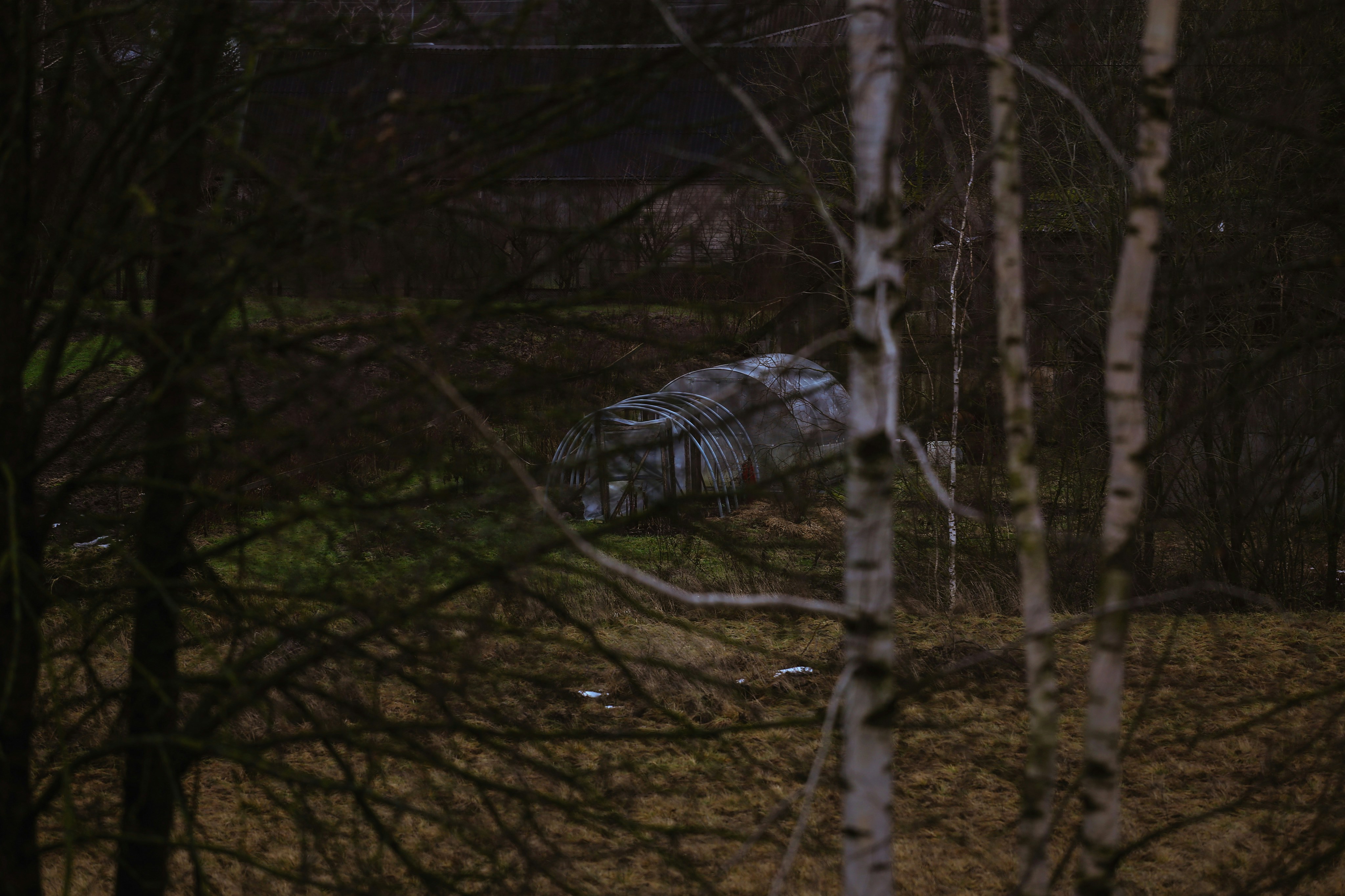 Hidden Cylinder in the Pines