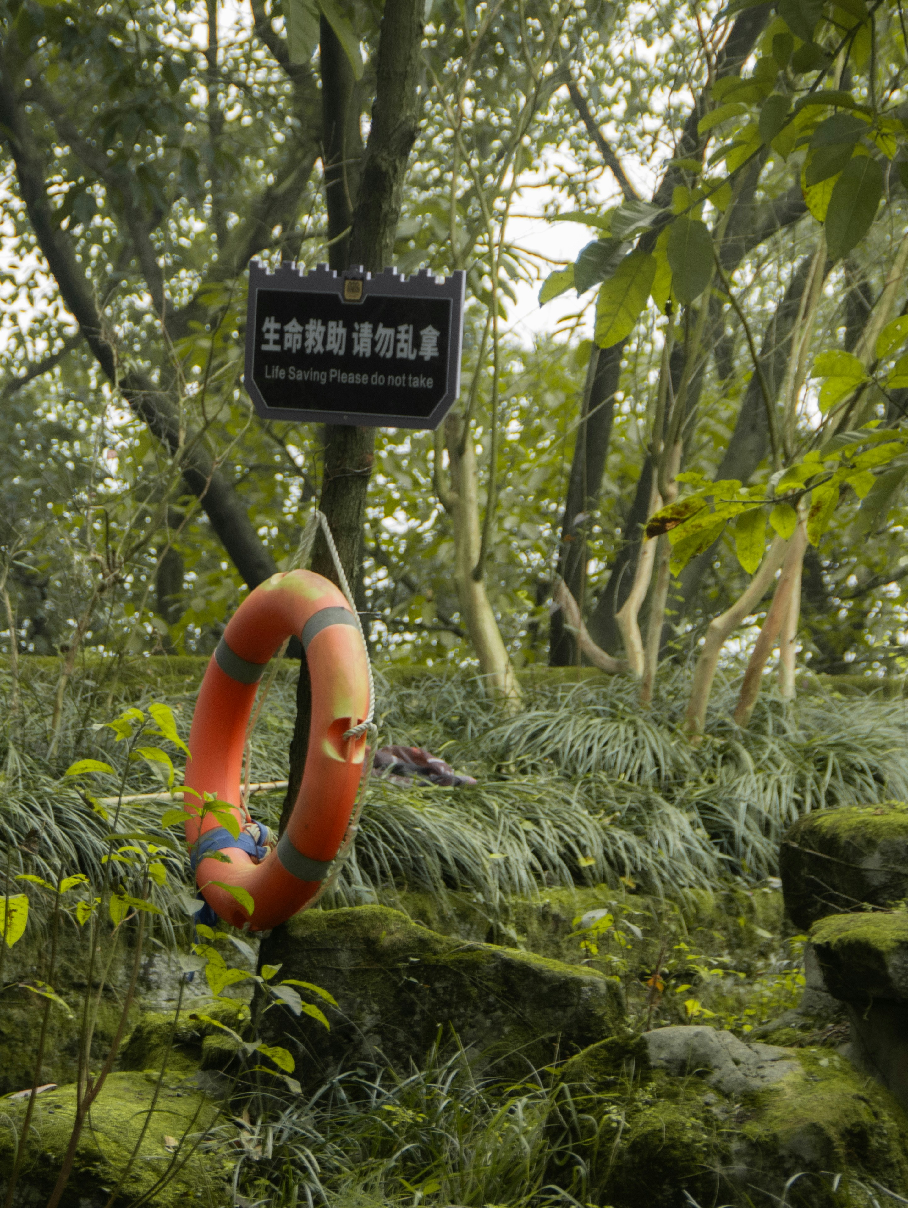 Life Ring by the Sign in a Tranquil Garden