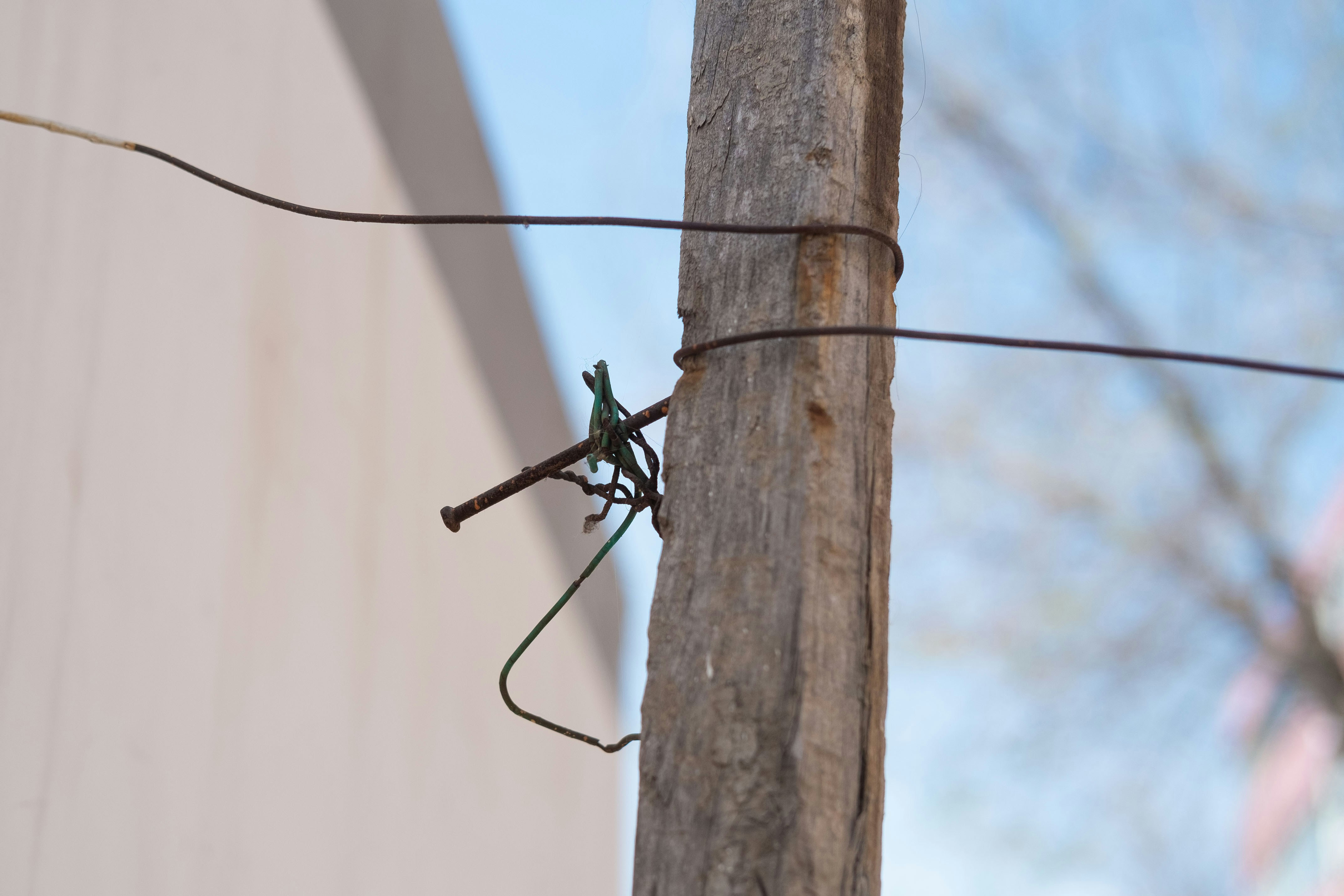 A close up of a wire attached to a telephone pole photo – Free Utility ...