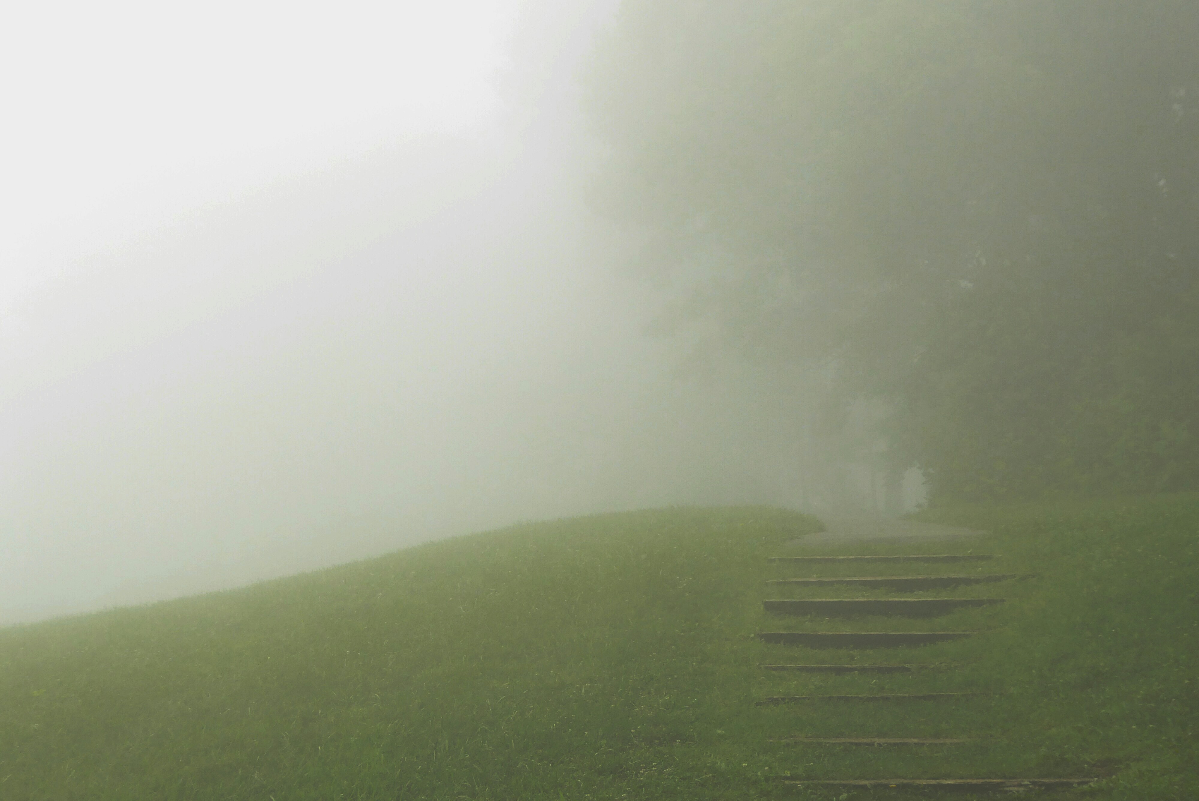 A foggy field with a set of steps in the grass photo – Free Fog Image ...