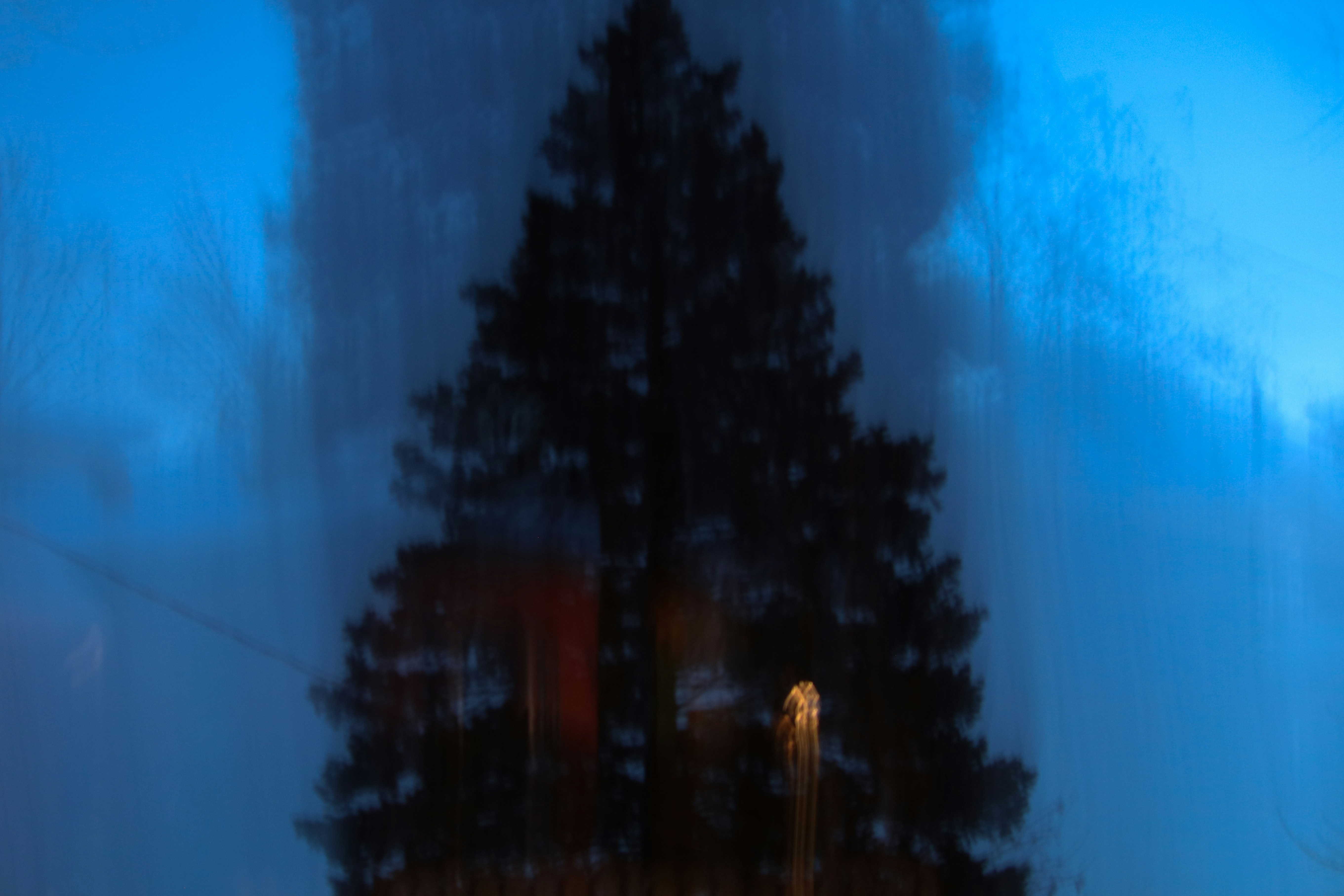 Pine in a Cyan Veil: Forest Reflected in Blue Glass