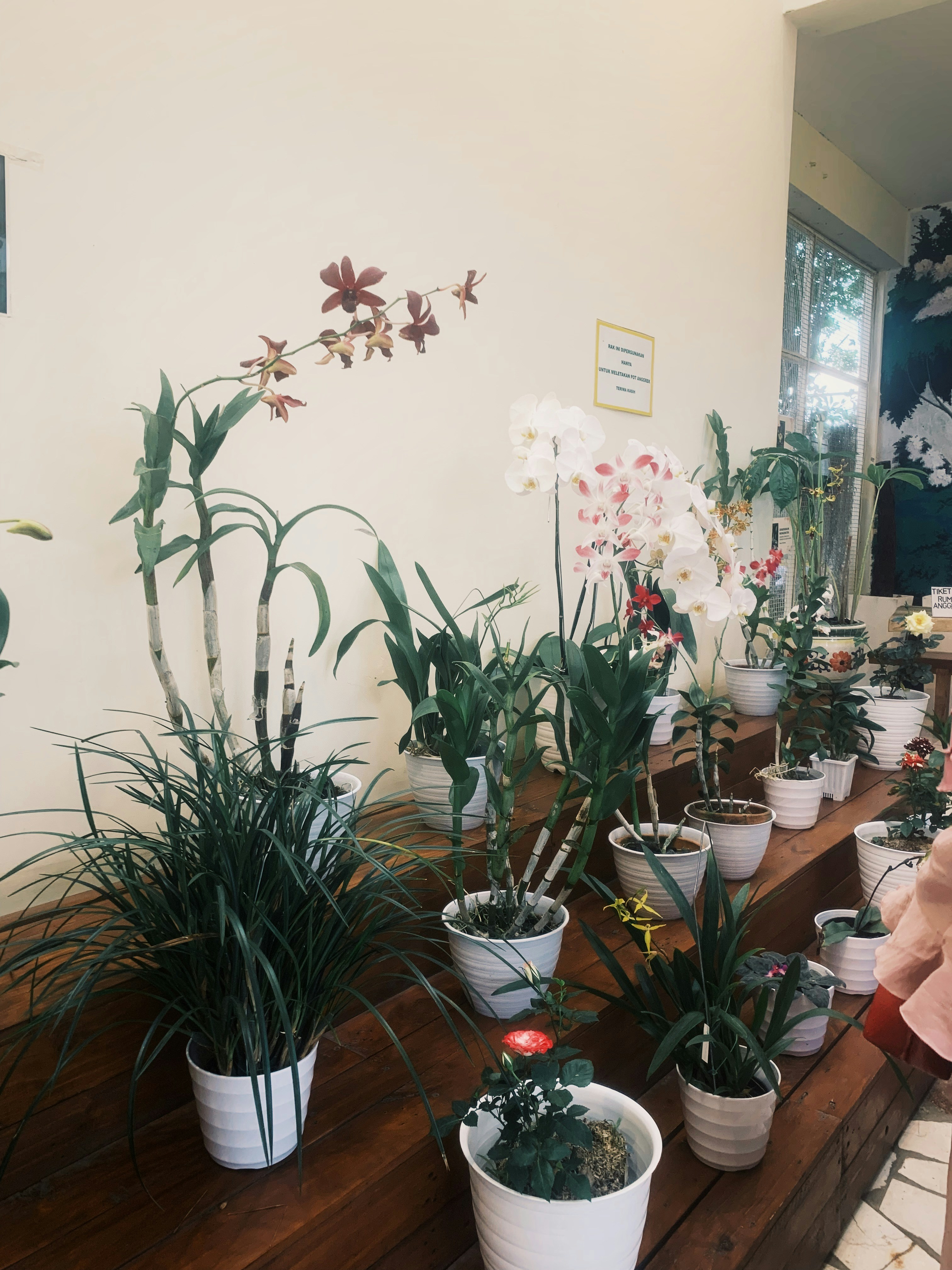 focus on the good …