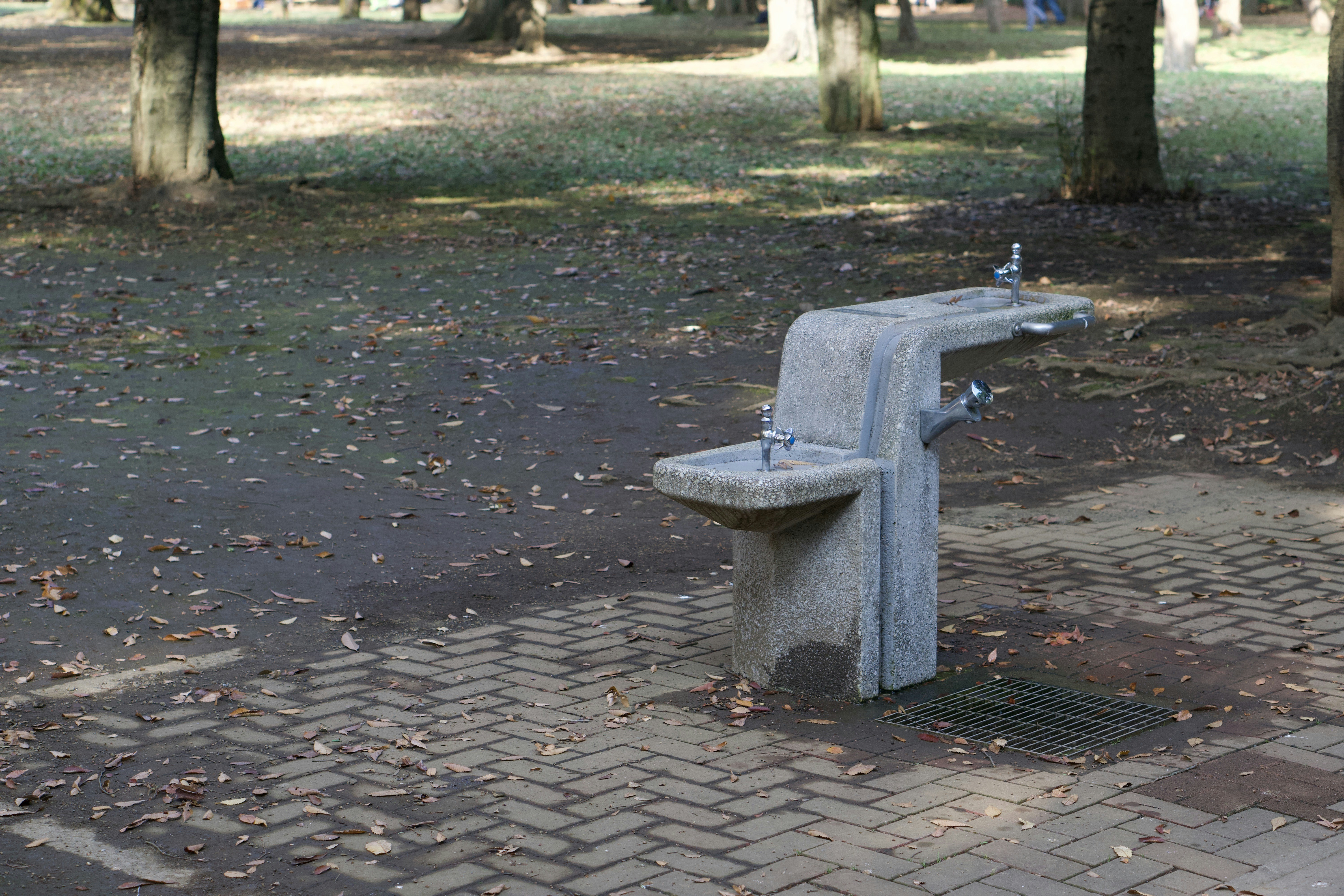 Dappled Autumn Fountain: A Quiet Park Pause
