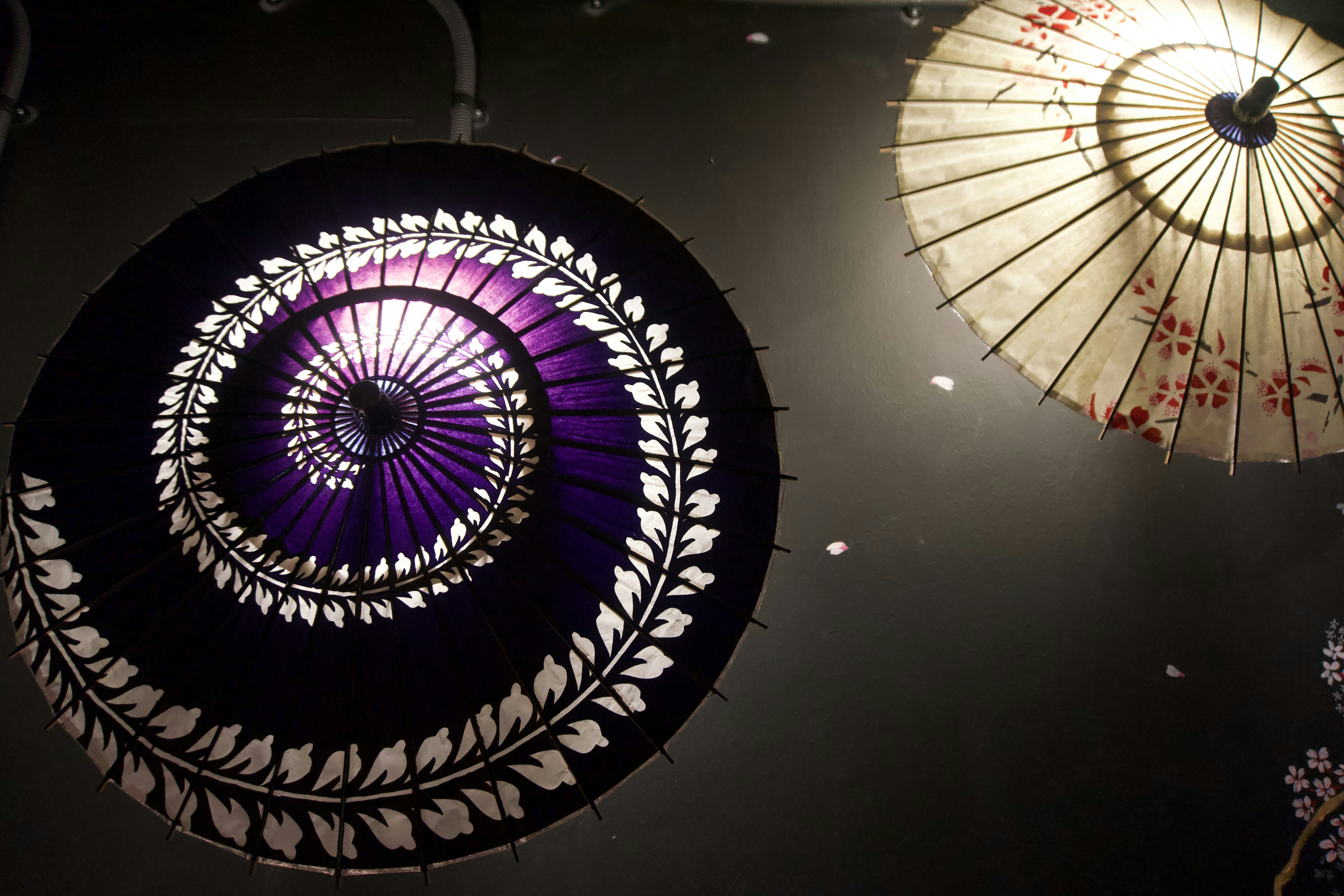 A couple of umbrellas hanging from a ceiling photo – Free Tokyo Image ...