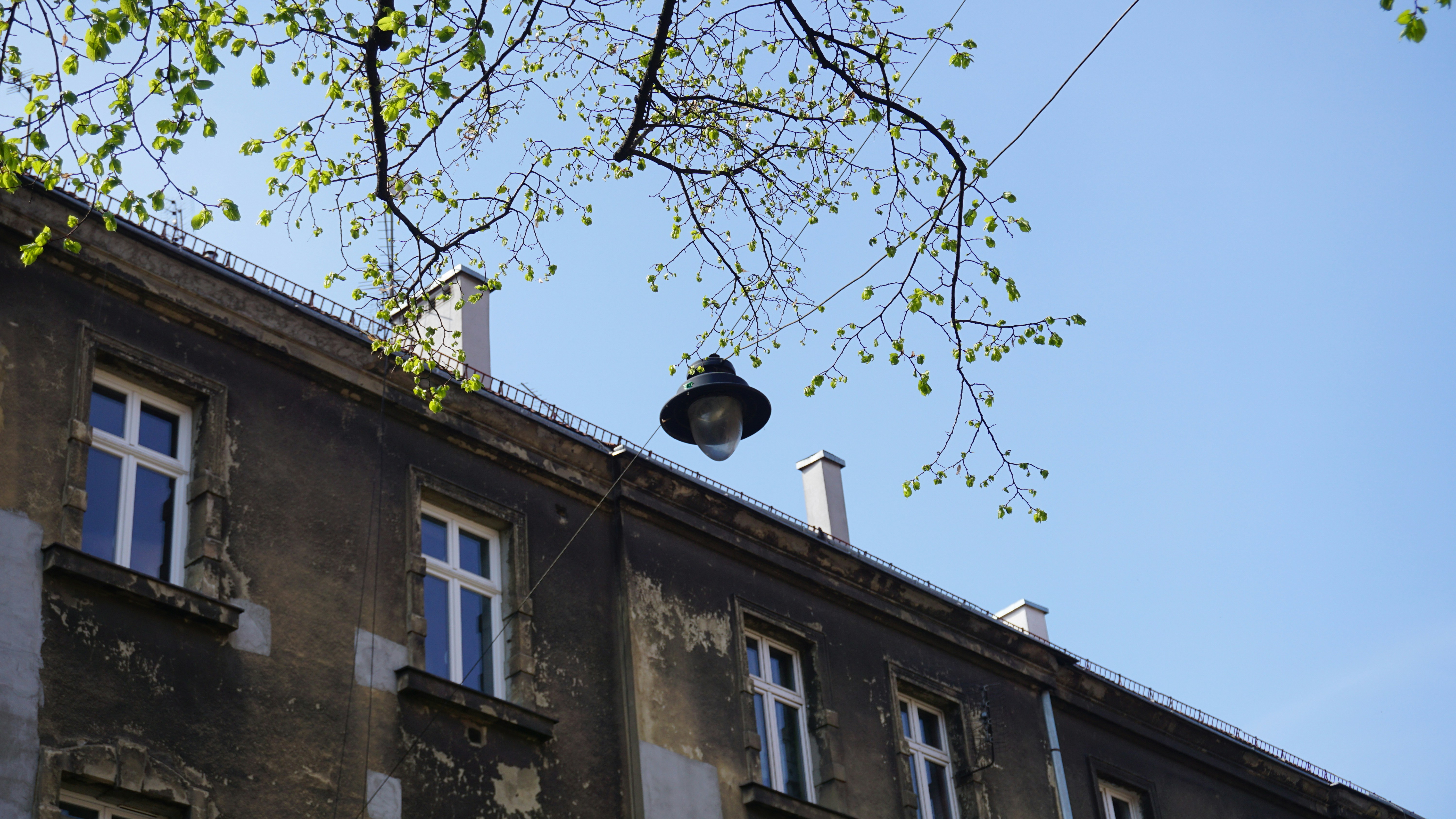 Blue Sky Over Weathered Brick: A Hanging Lamp Framed by Spring Branches