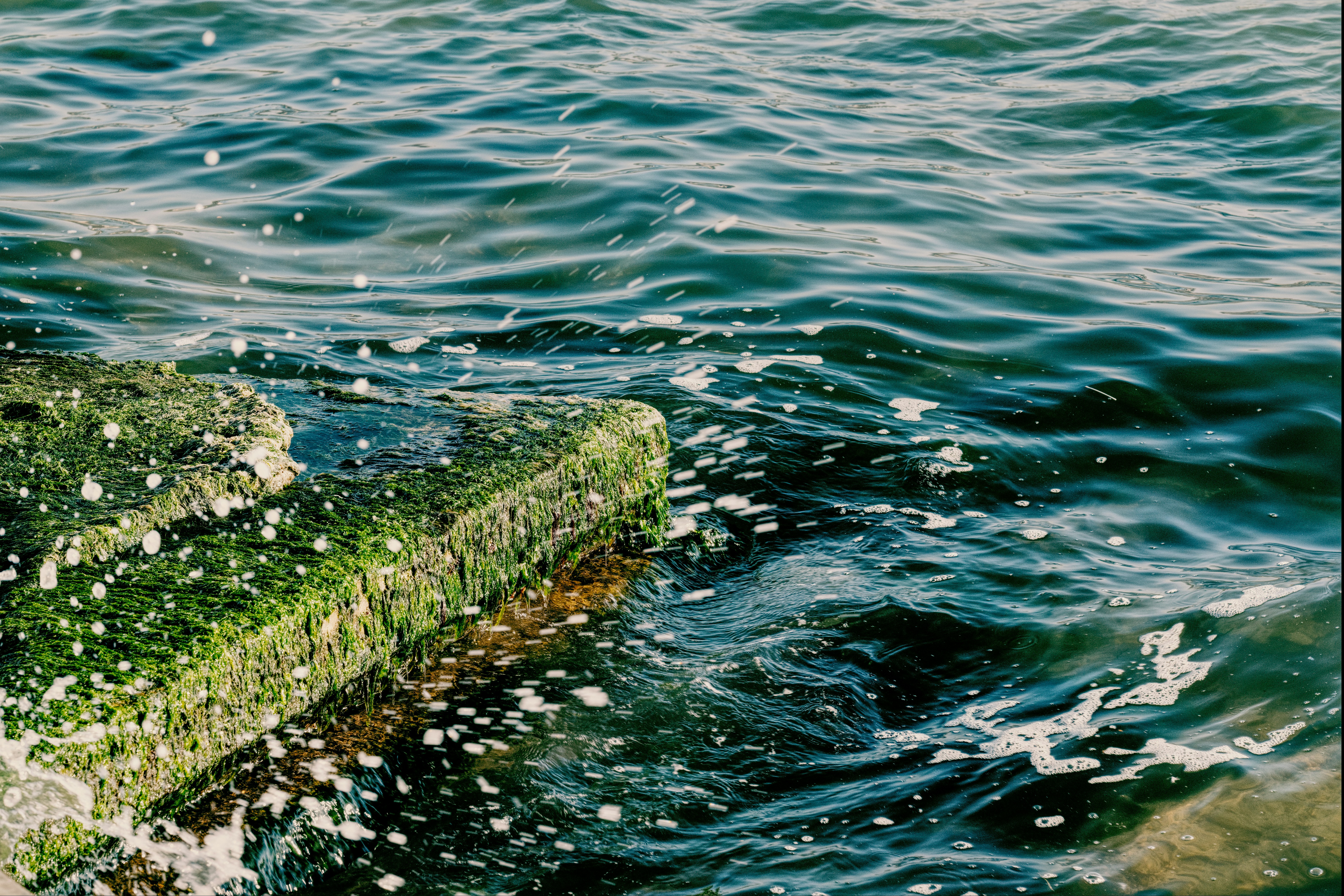 Moss-Kissed Jetty Skims Turquoise Currents