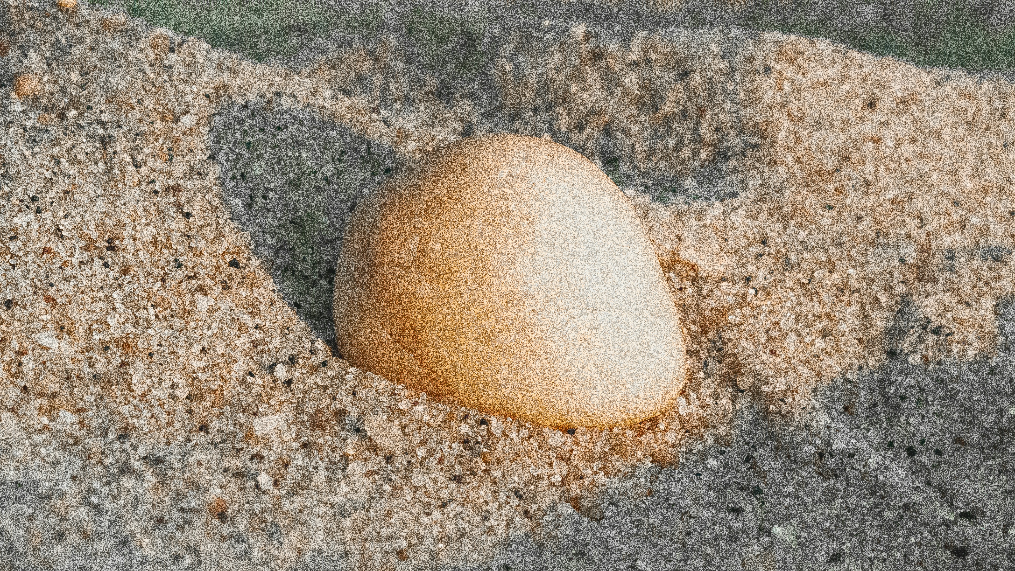 Photo by Alvin David with Panasonic Lumix G7