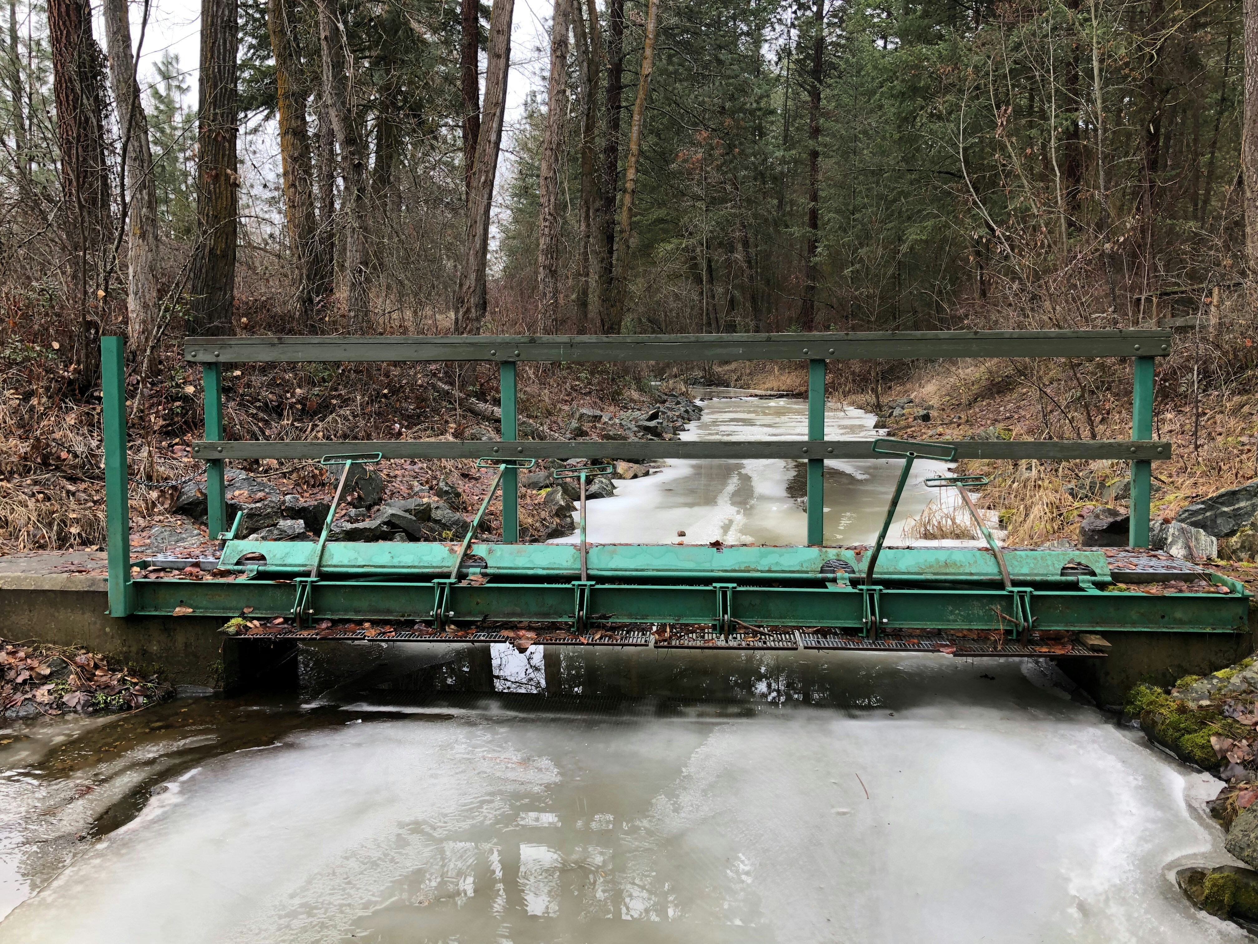 Green Footbridge Over a Quiet, Ice-veiled Brook in the Pines