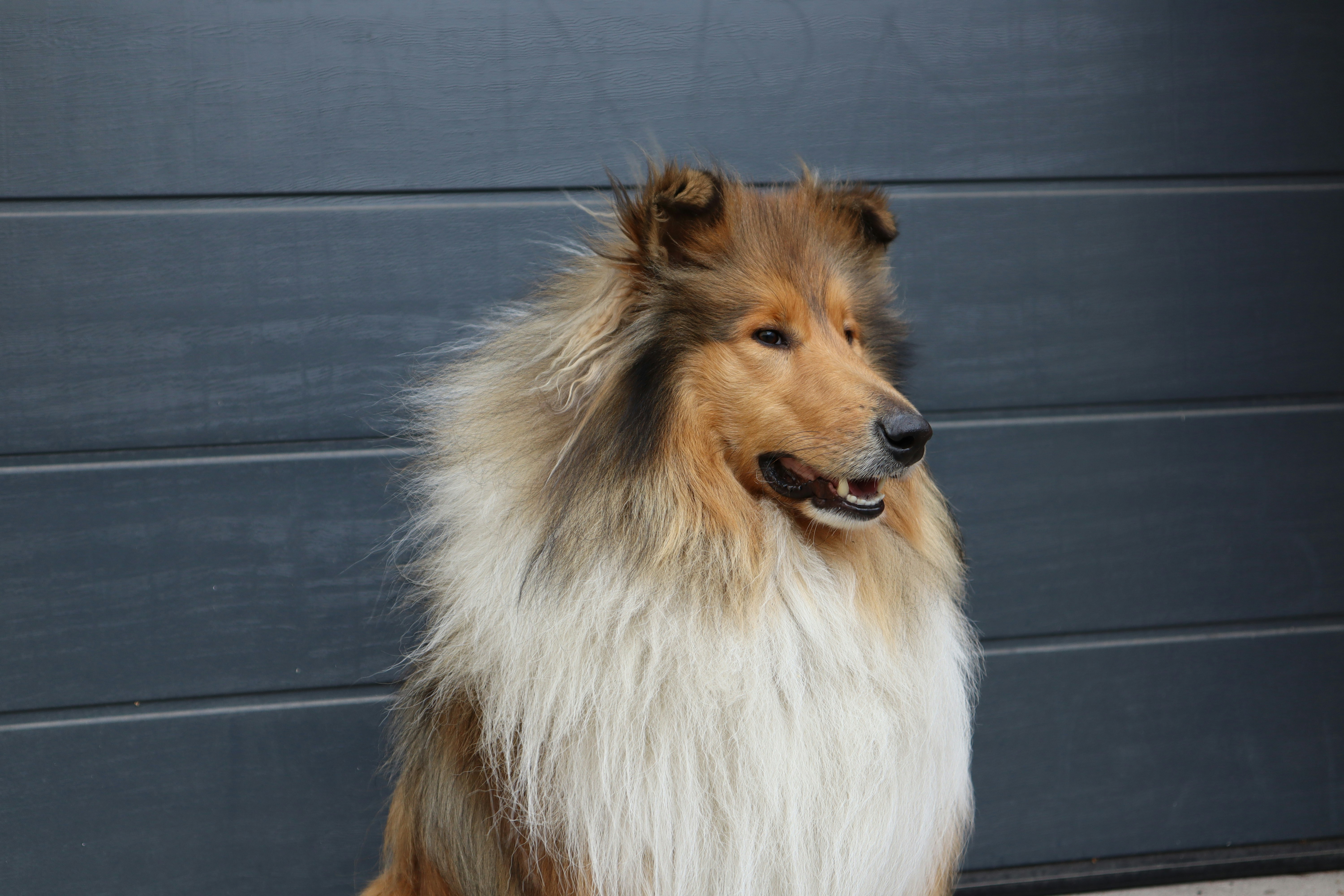 Photo by Barbora Koritakova with Canon EOS M50 Mark II