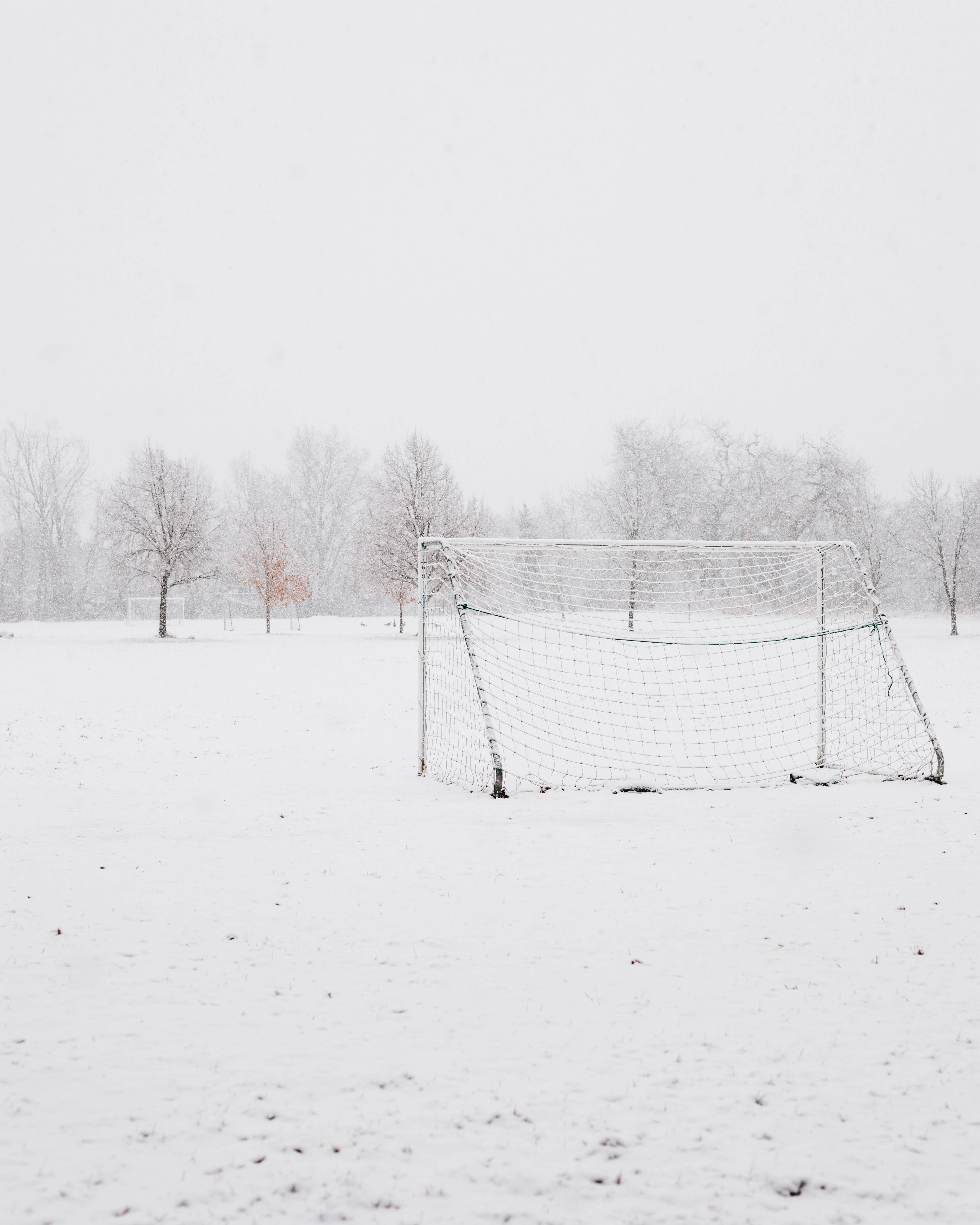 A Snowbound Goalpost: Quiet Lines in a Wintry Field