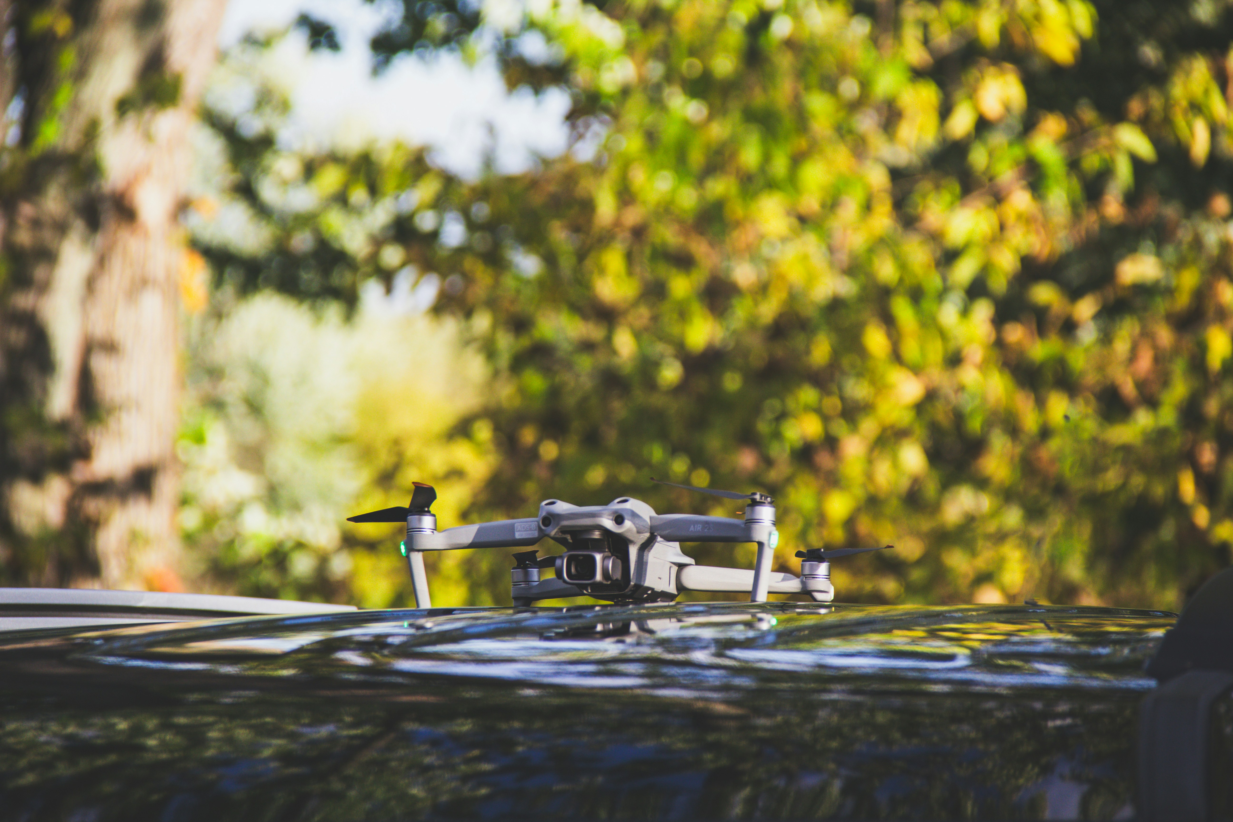 Drone Resting Amid Autumn Hues