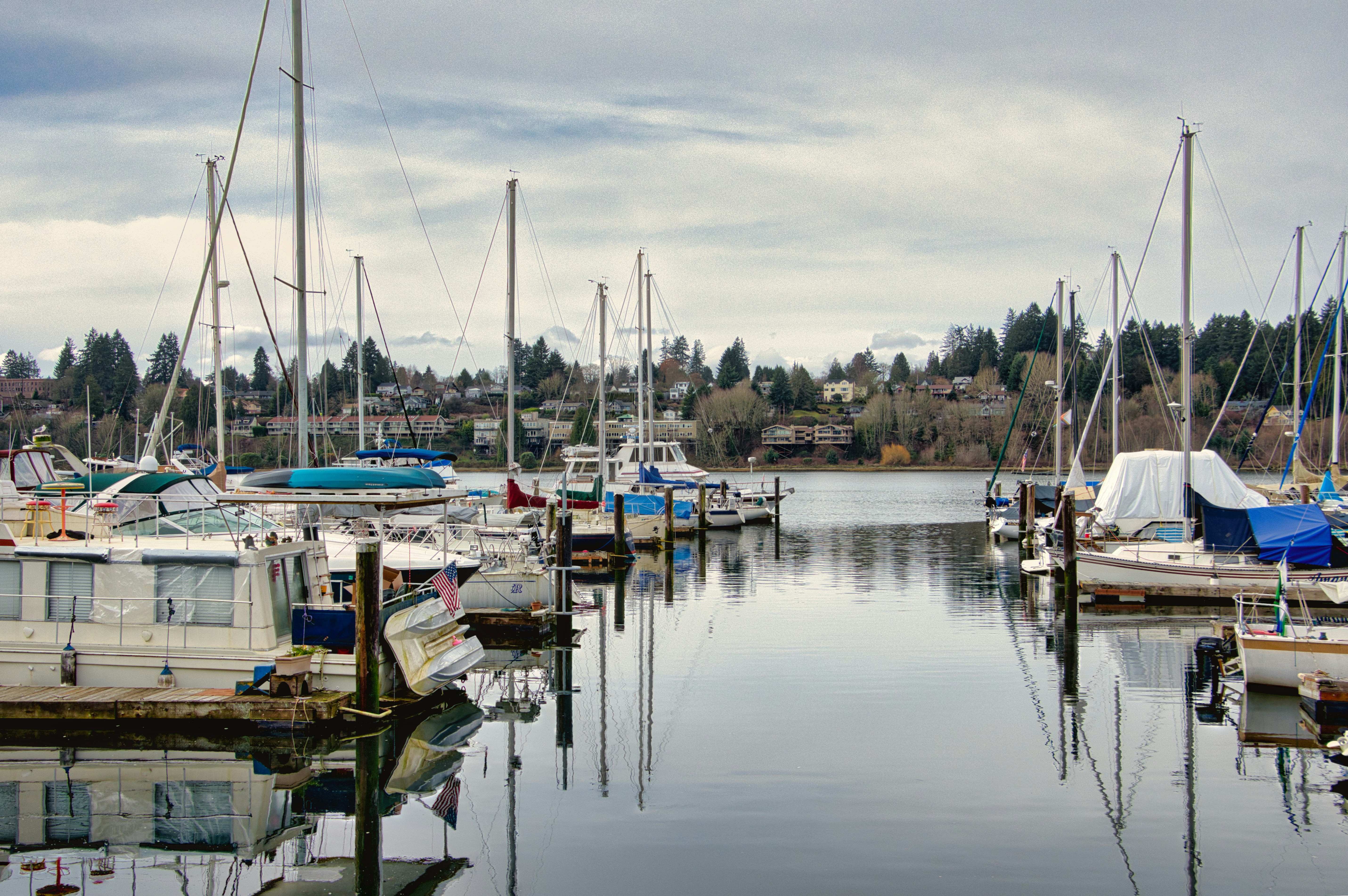 Marina scene featuring various boats docked peacefully in calm waters, surrounded by a scenic landscape of trees and distant hills.