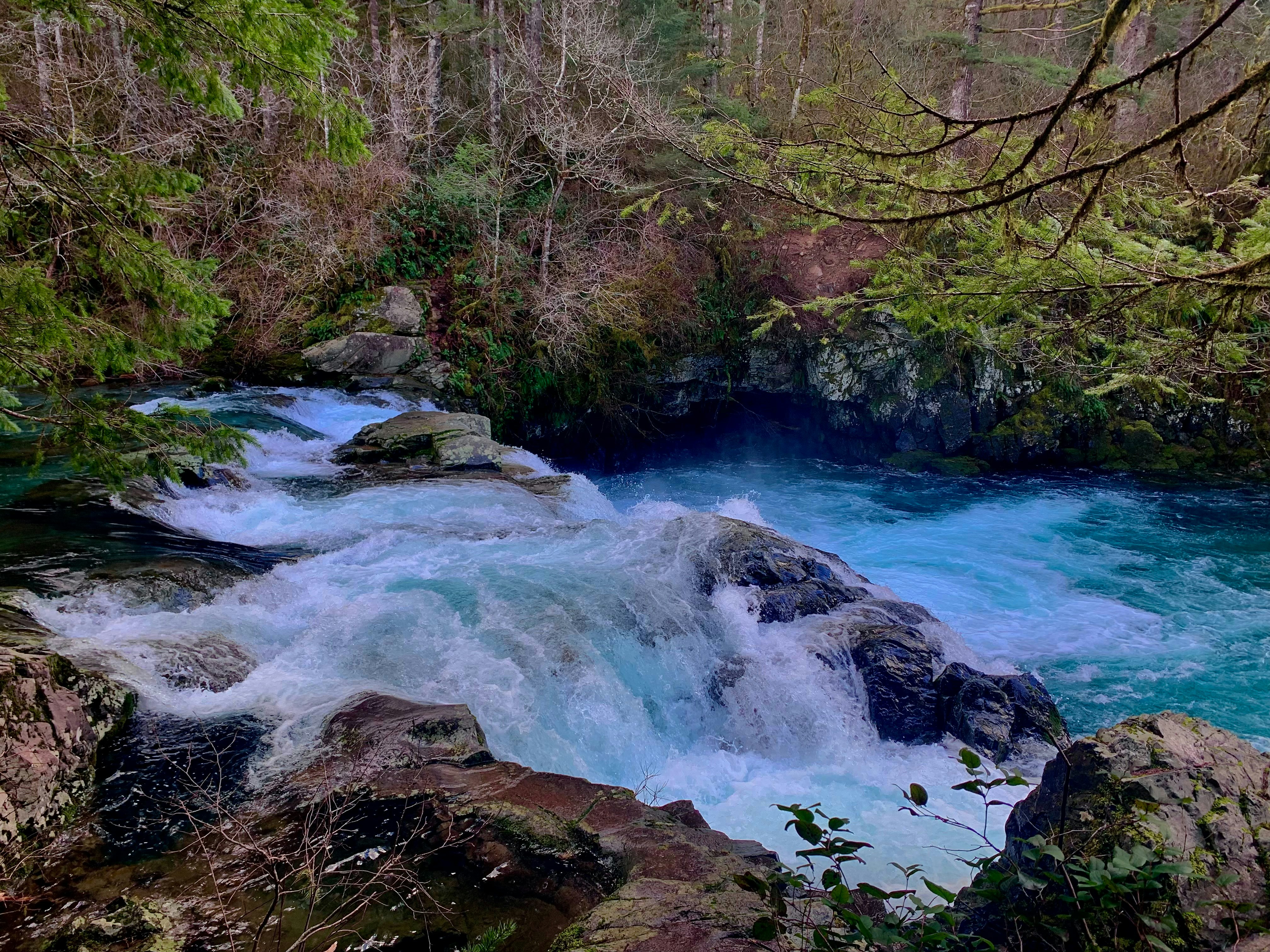 Turquoise Rapids Carving Through a Mossy Gorge