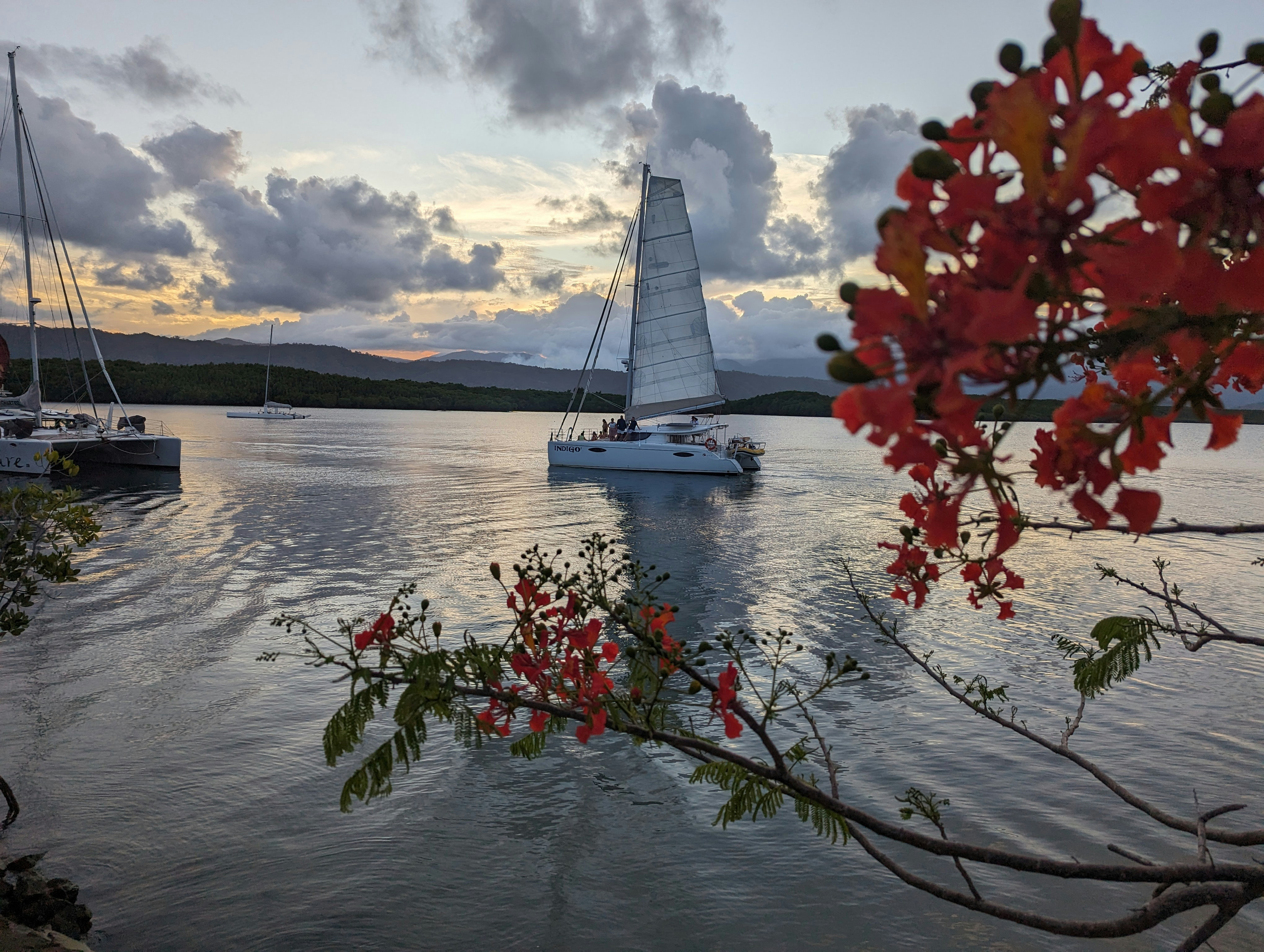 Dusk Sails Framed by Scarlet Branches over a Glassy Lake