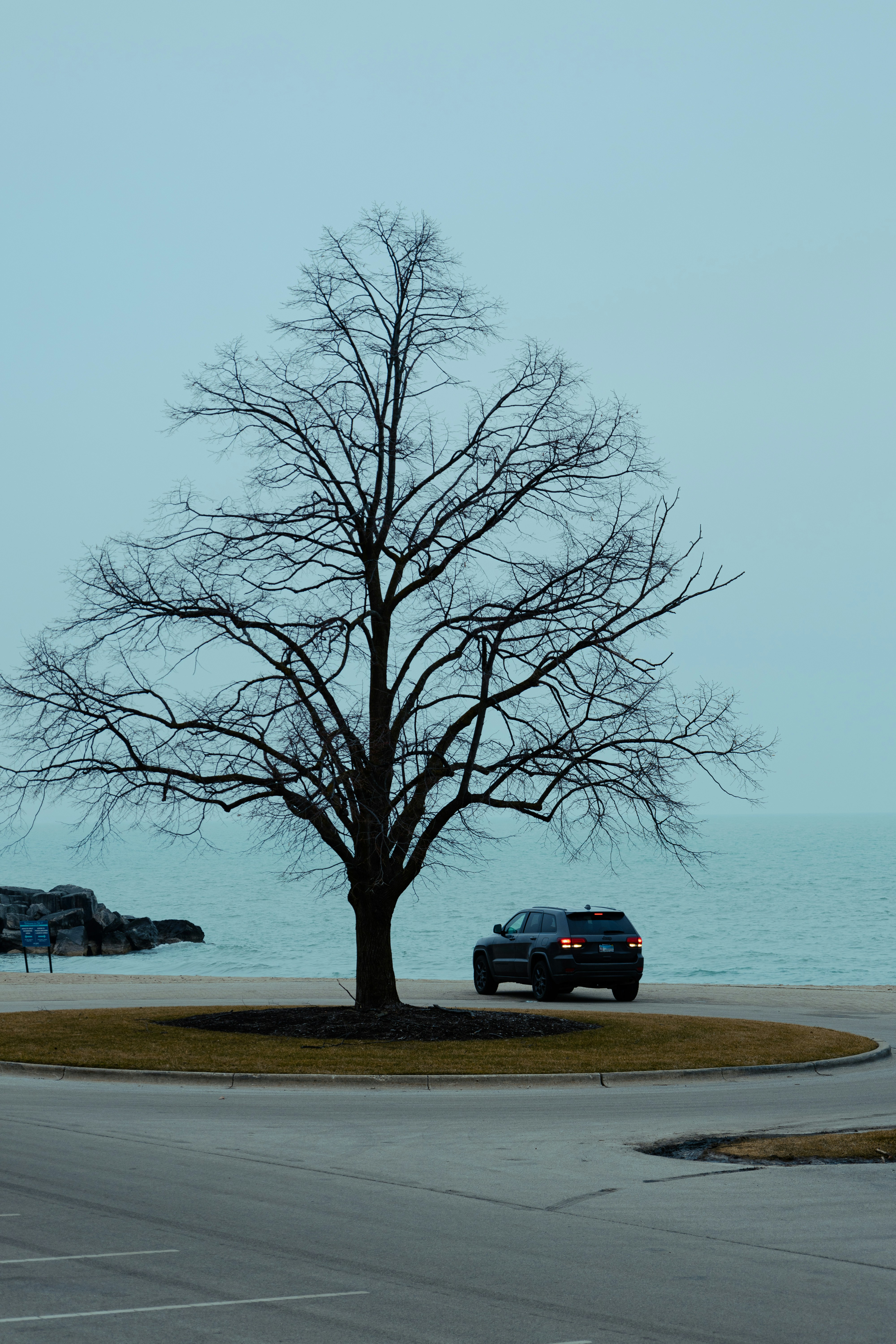 a car parked next to a tree on the side of a road