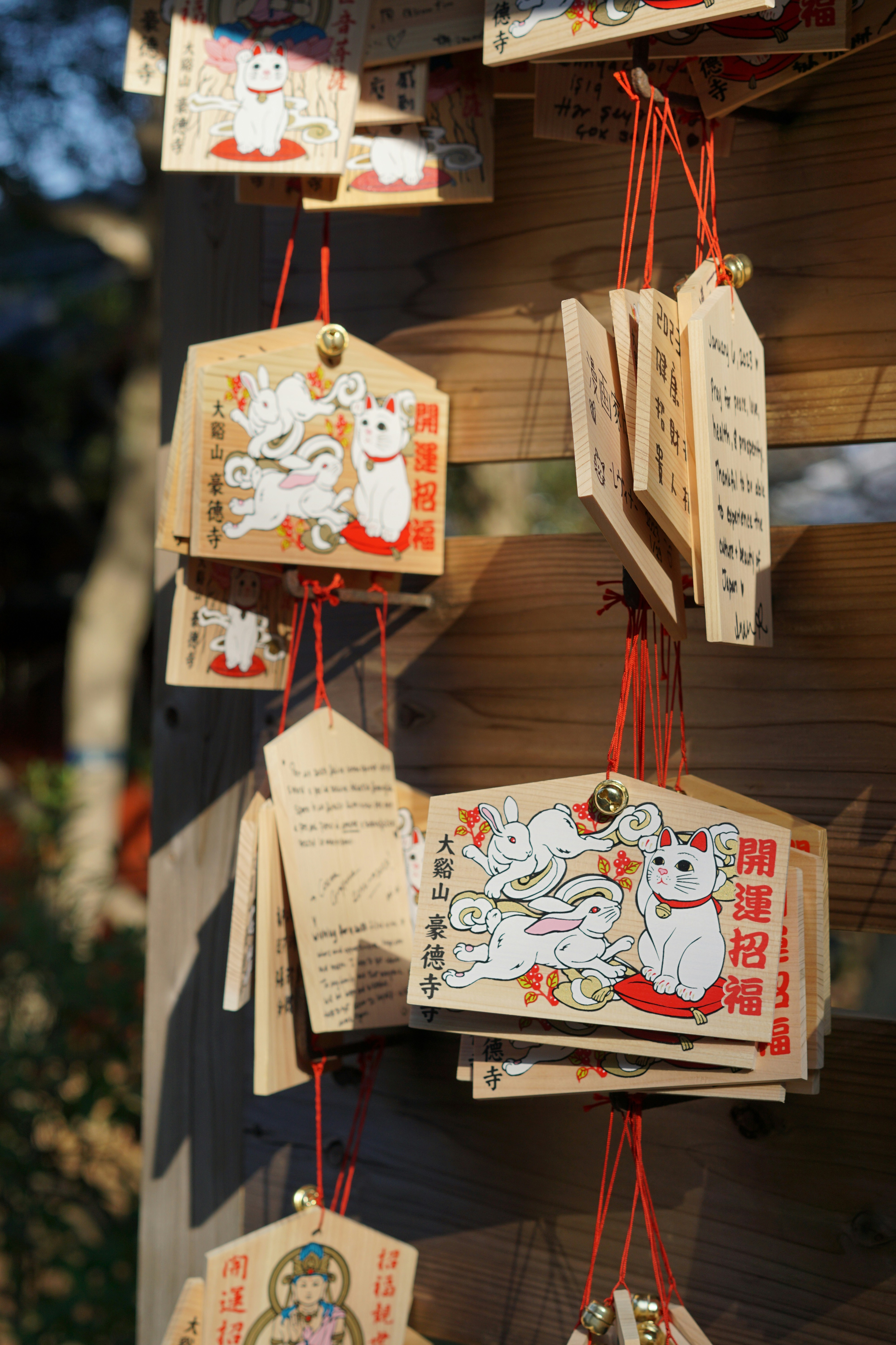 Fortune Flags: Maneki-neko Ema on a Shrine's Wooden Wall
