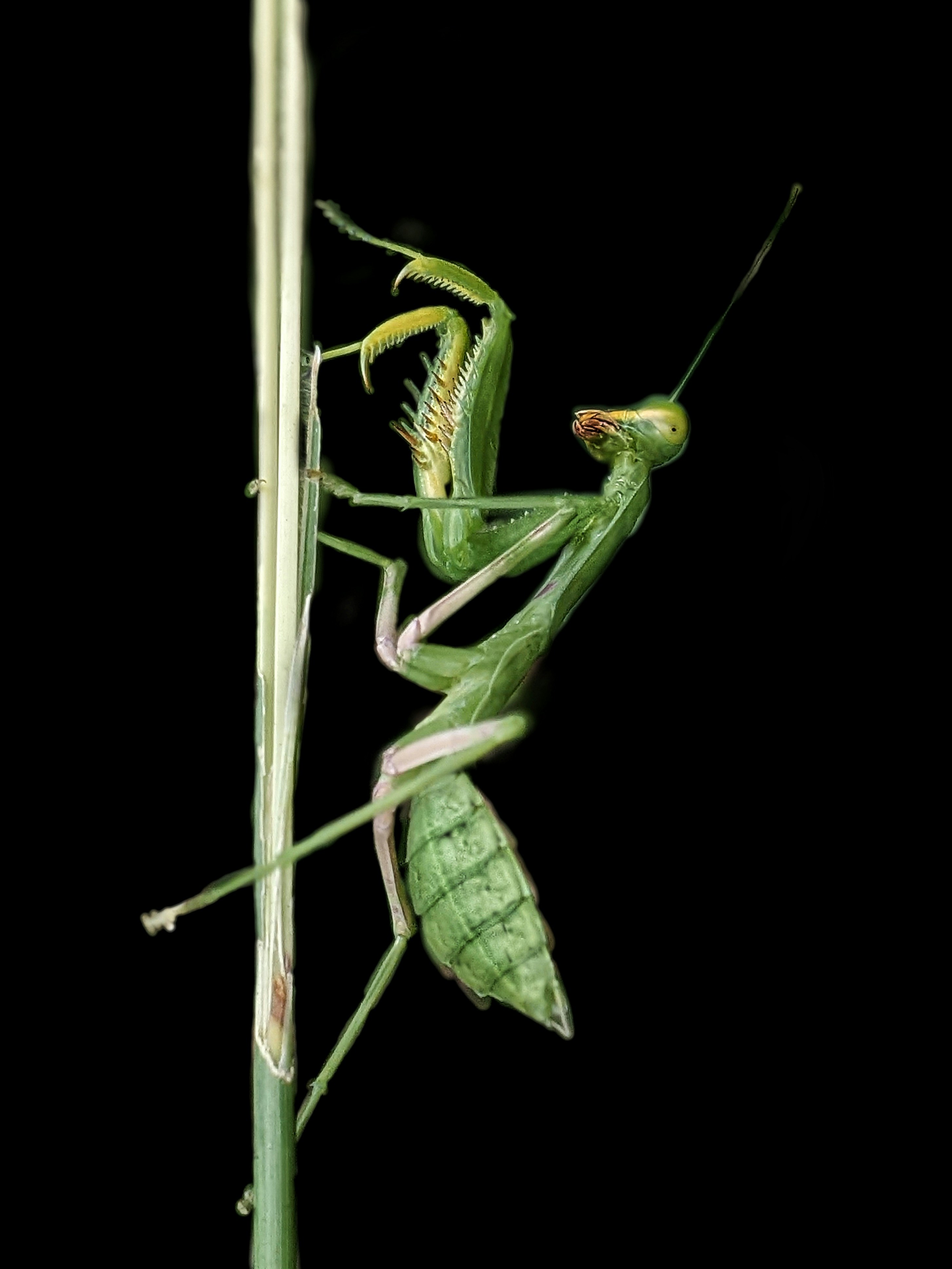 A prier, prier, prier, prier, prier, pri photo – Image gratuite de ...