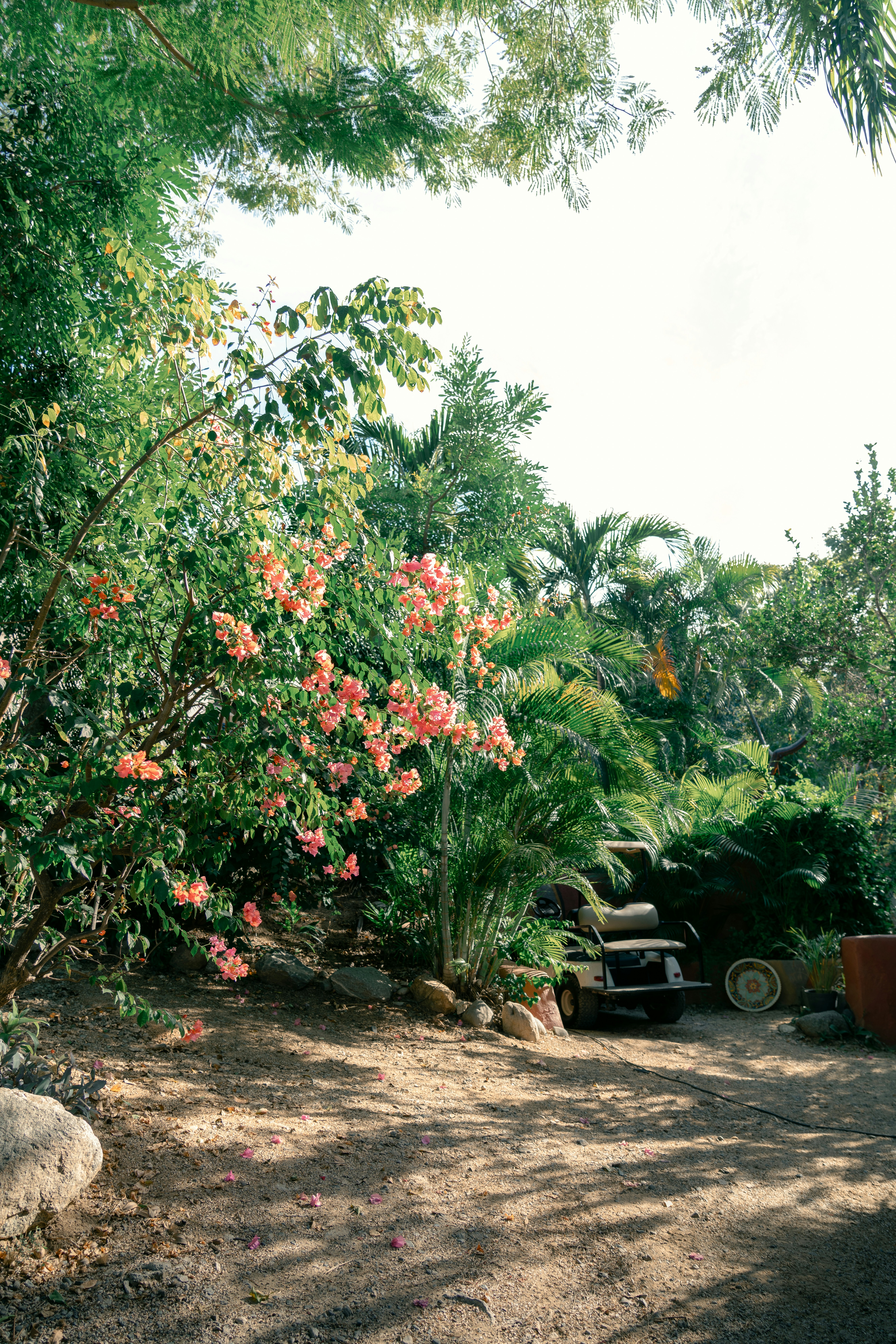 Photo by Griffin Wooldridge with Sony Alpha 7R III