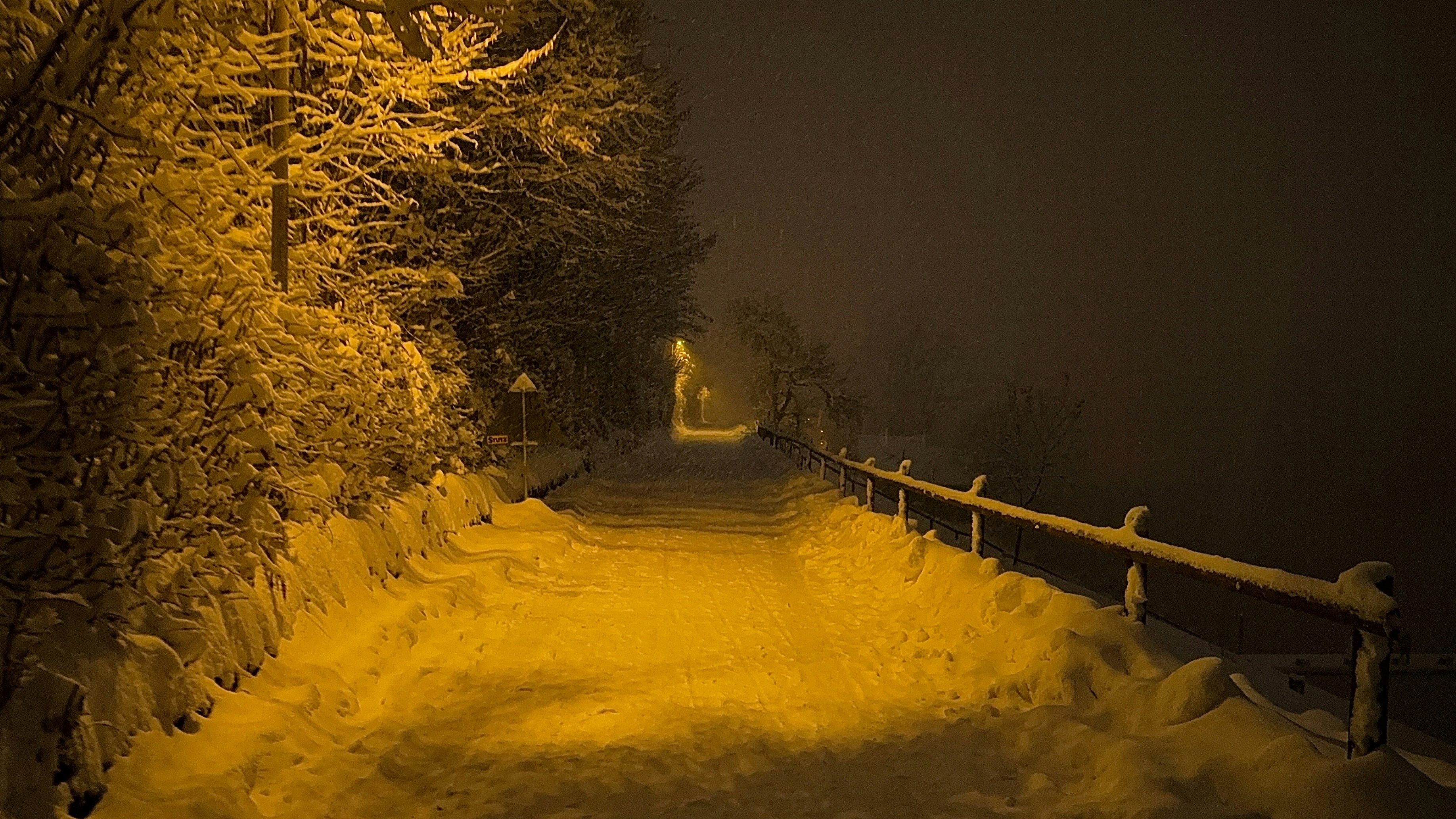 Snow-covered pathway illuminated by warm streetlights, flanked by frosted trees under a night sky.