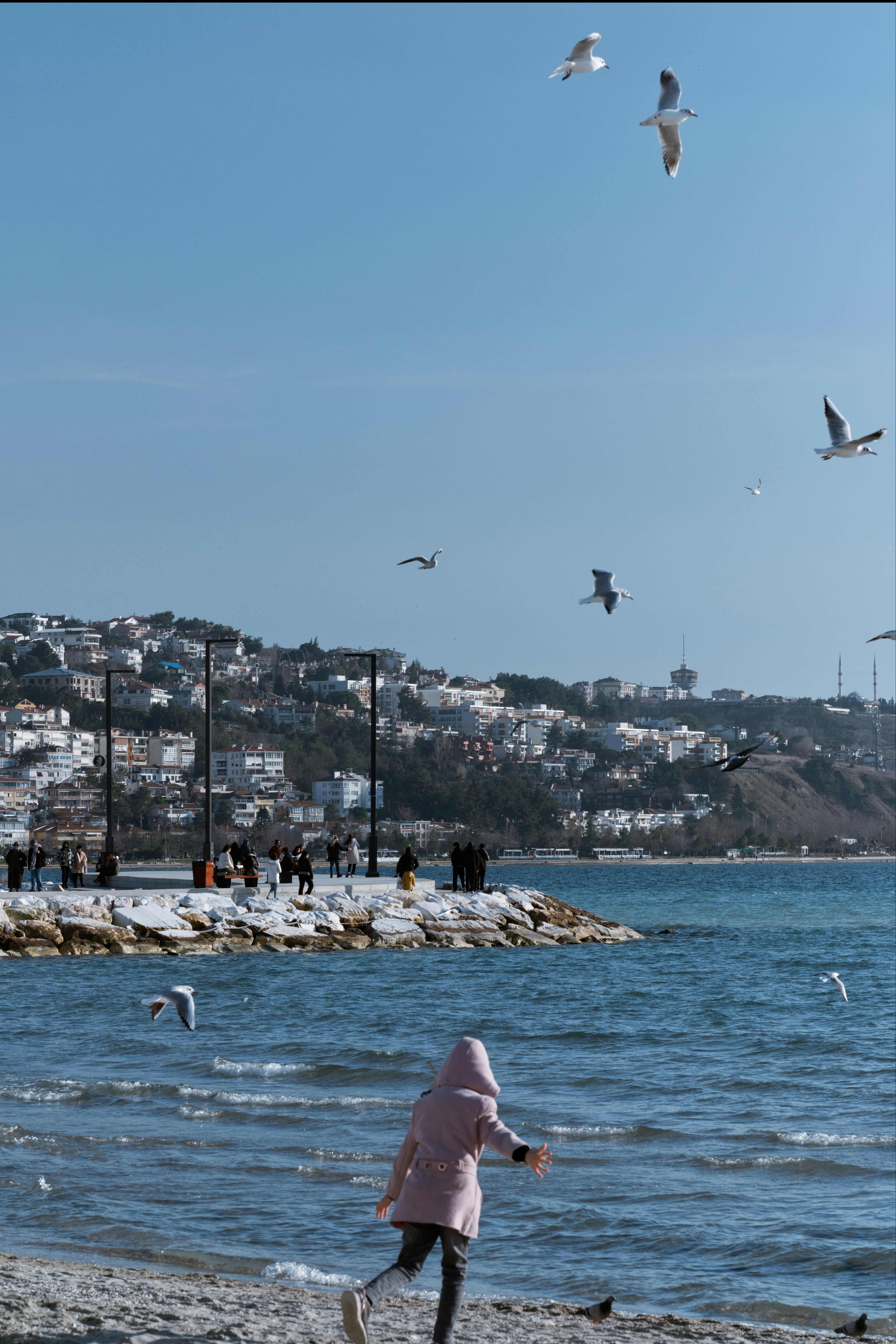 Pastel Coastline: A girl in a pink hooded coat reaches toward the sea as gulls skim above the harbor
