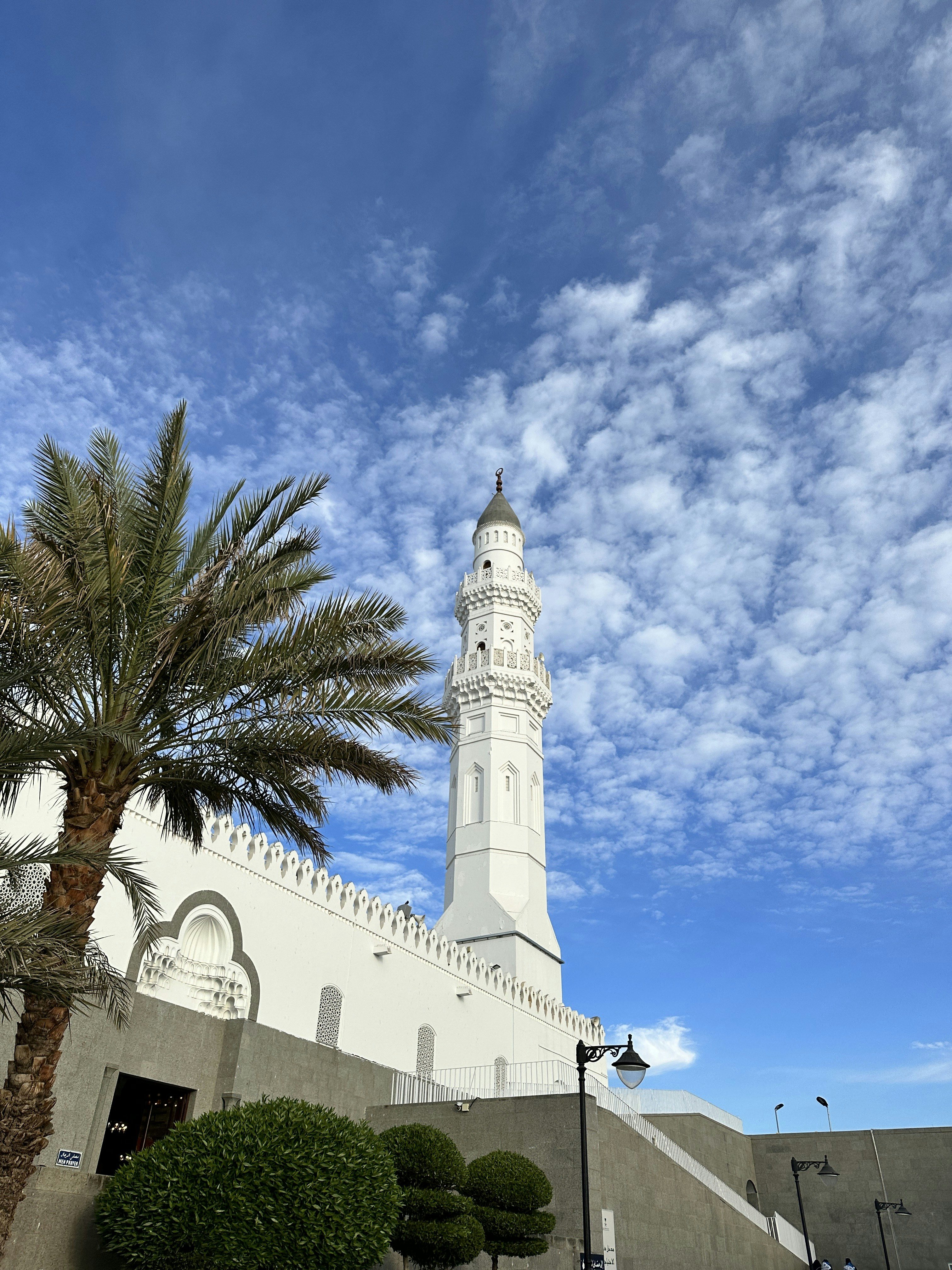 White Minaret Framed by Palm and Sky