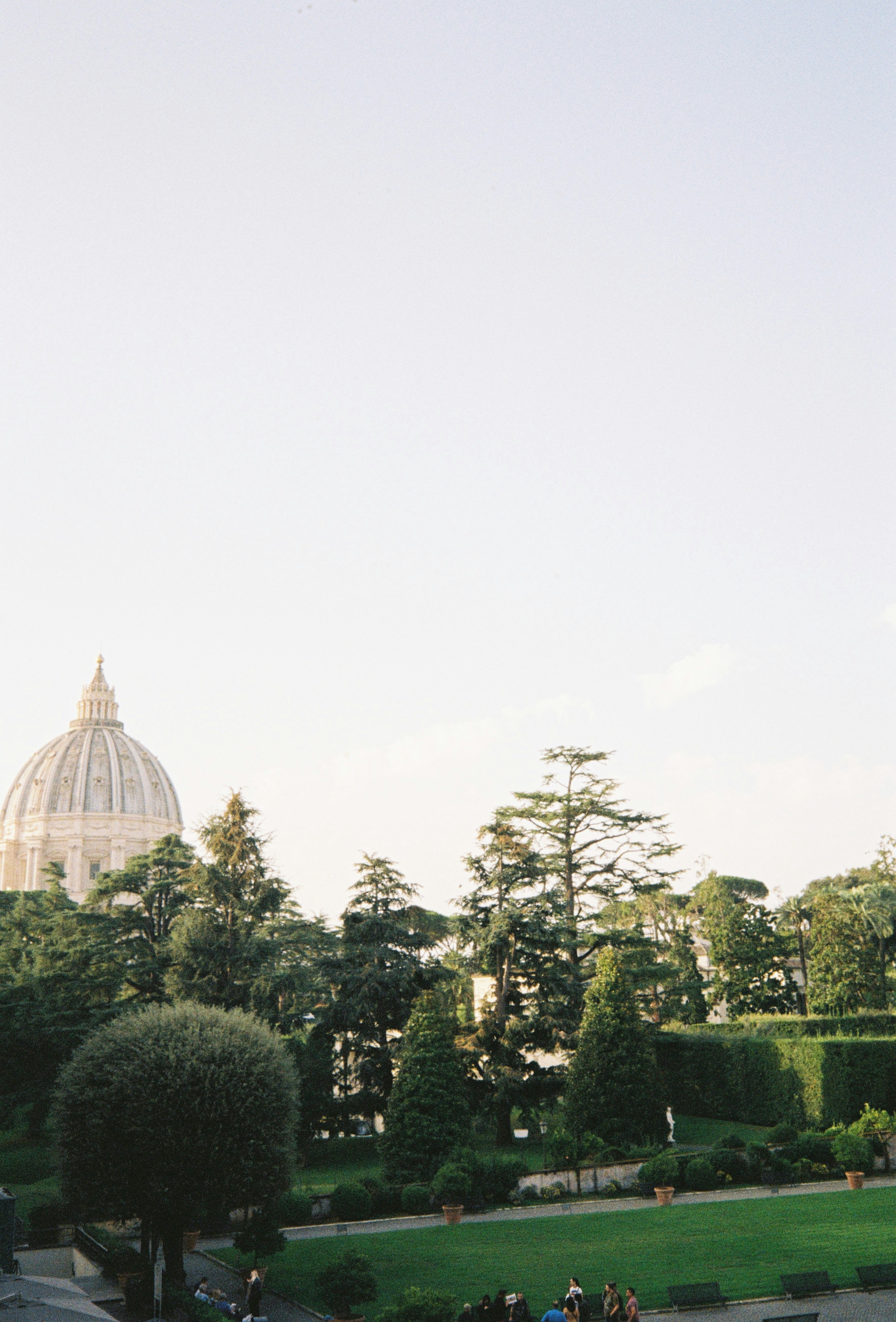St. Peter's Dome Framed by a Serene Roman Garden