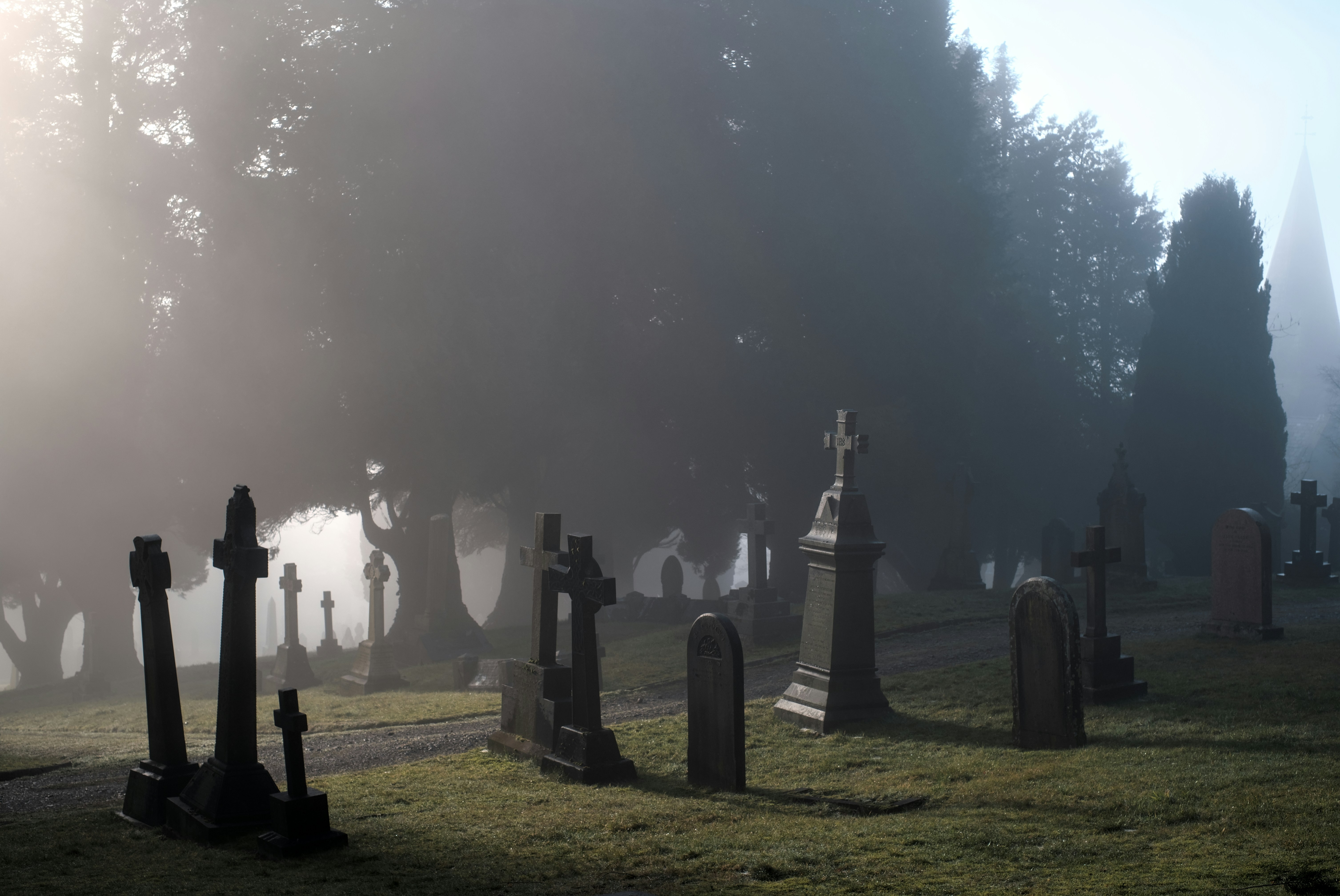 750+ Graveyard Pictures | Download Free Images on Unsplash