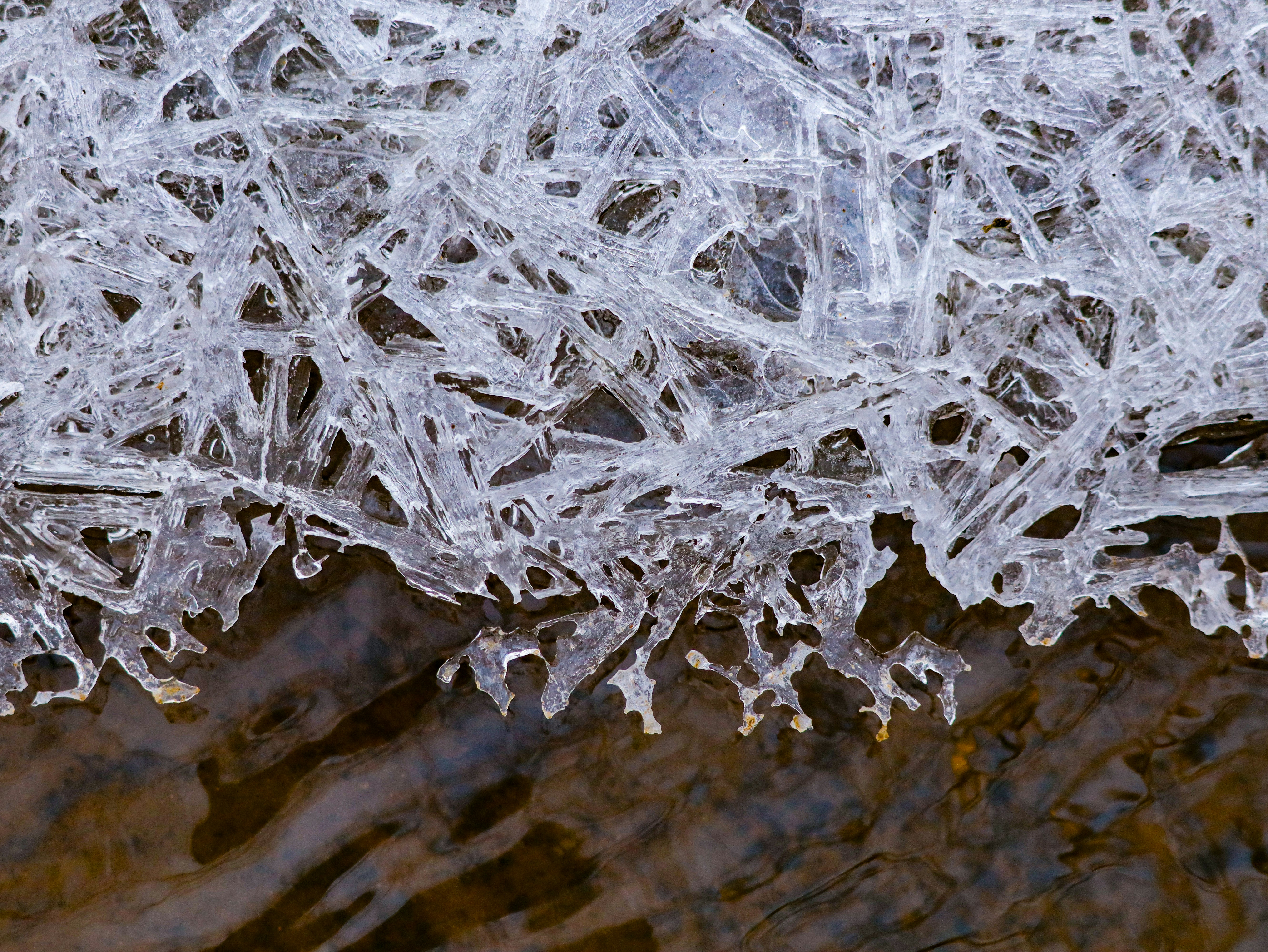 Photo by Nikola  Tomašić with Canon EOS M50