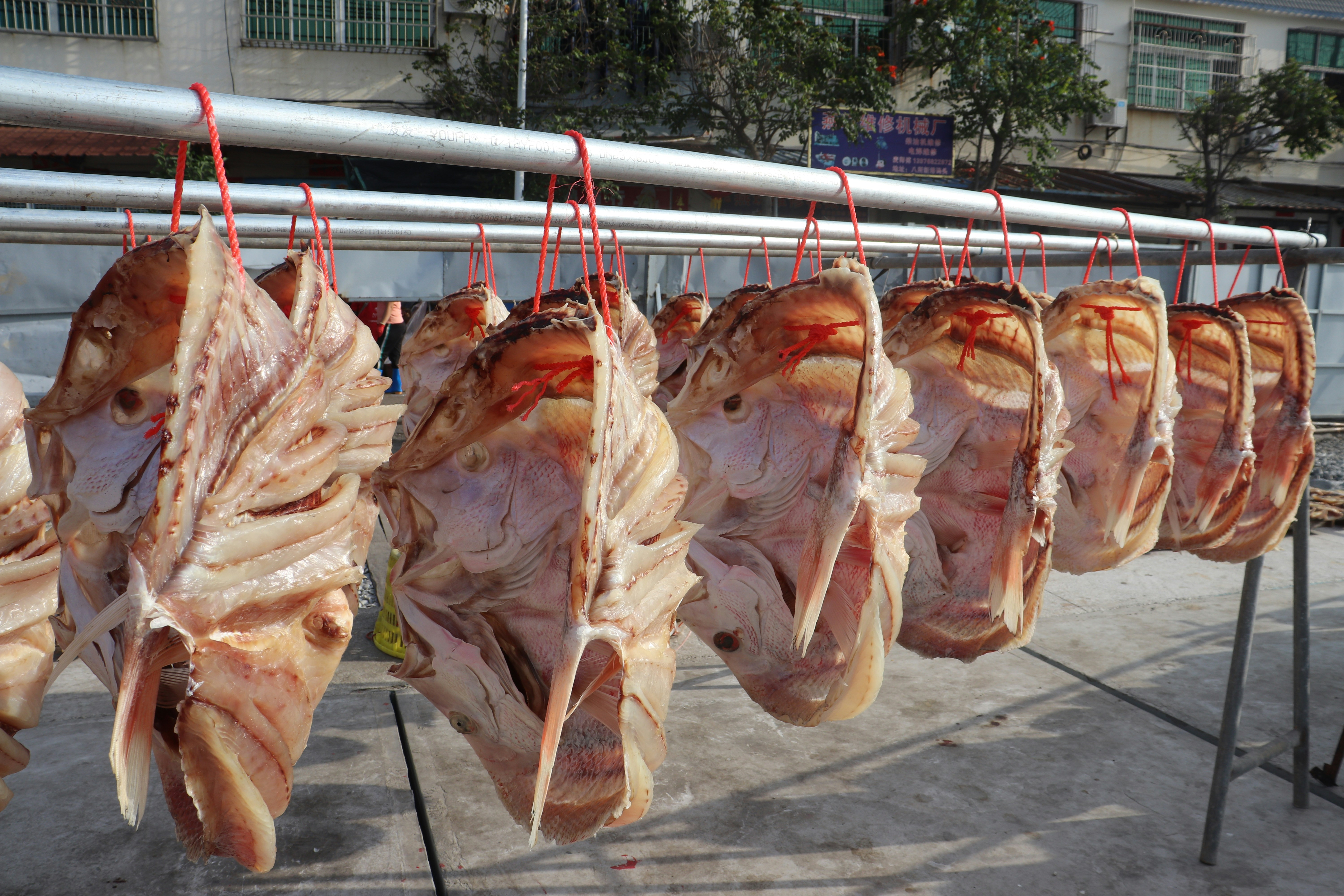 A bunch of meat hanging on a line photo – Free Mutton Image on Unsplash