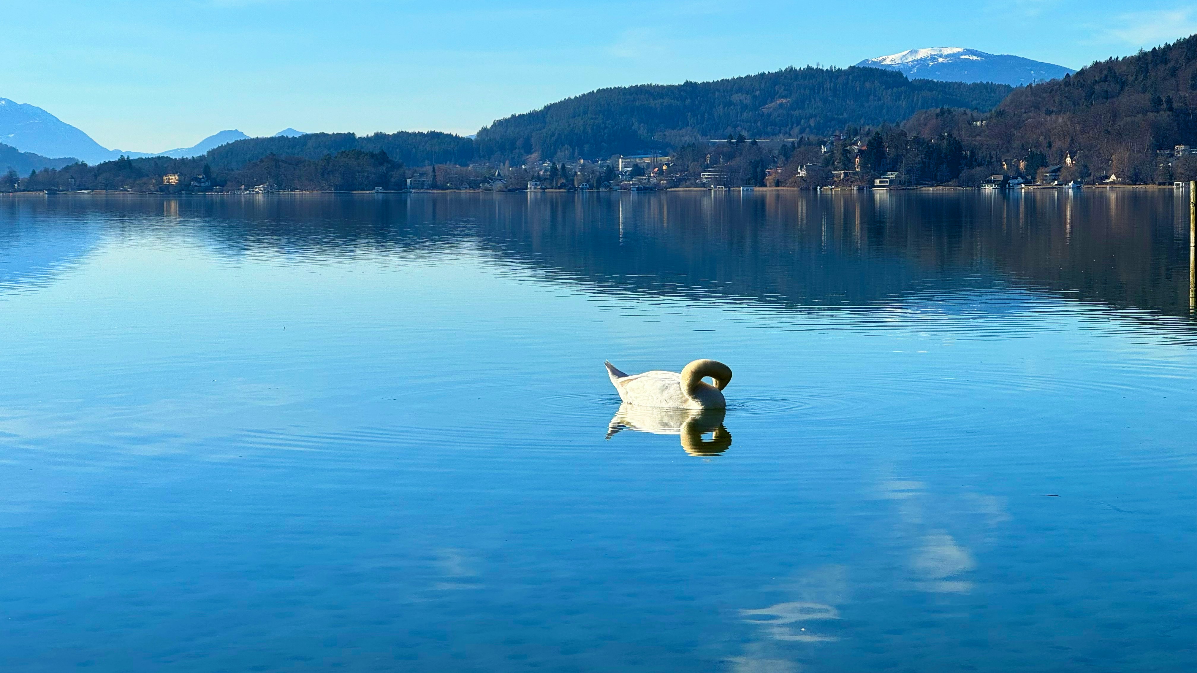 Serenity on a Glassy Lake