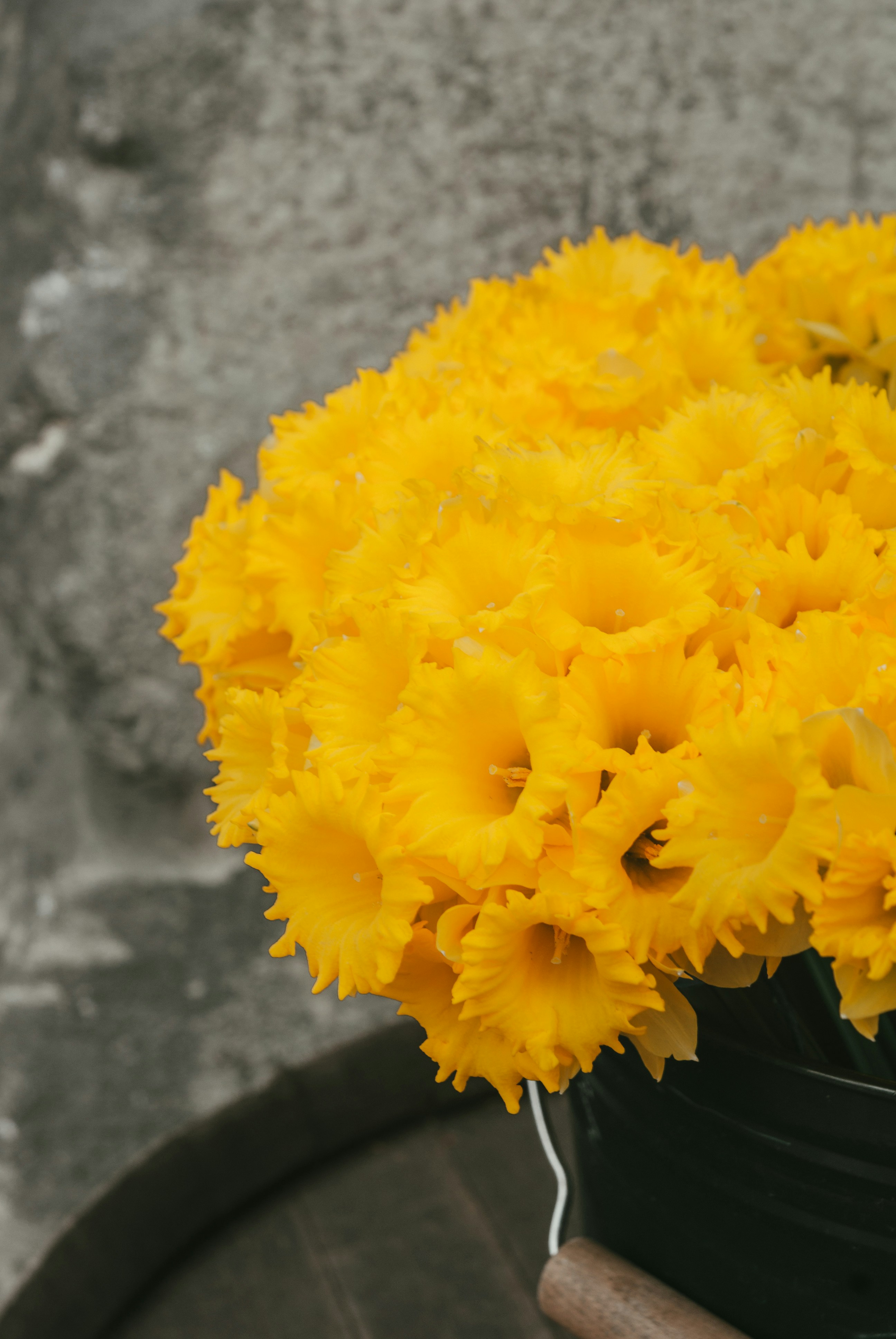 Bright Yellow Pom-Poms in a Weathered Concrete Backdrop