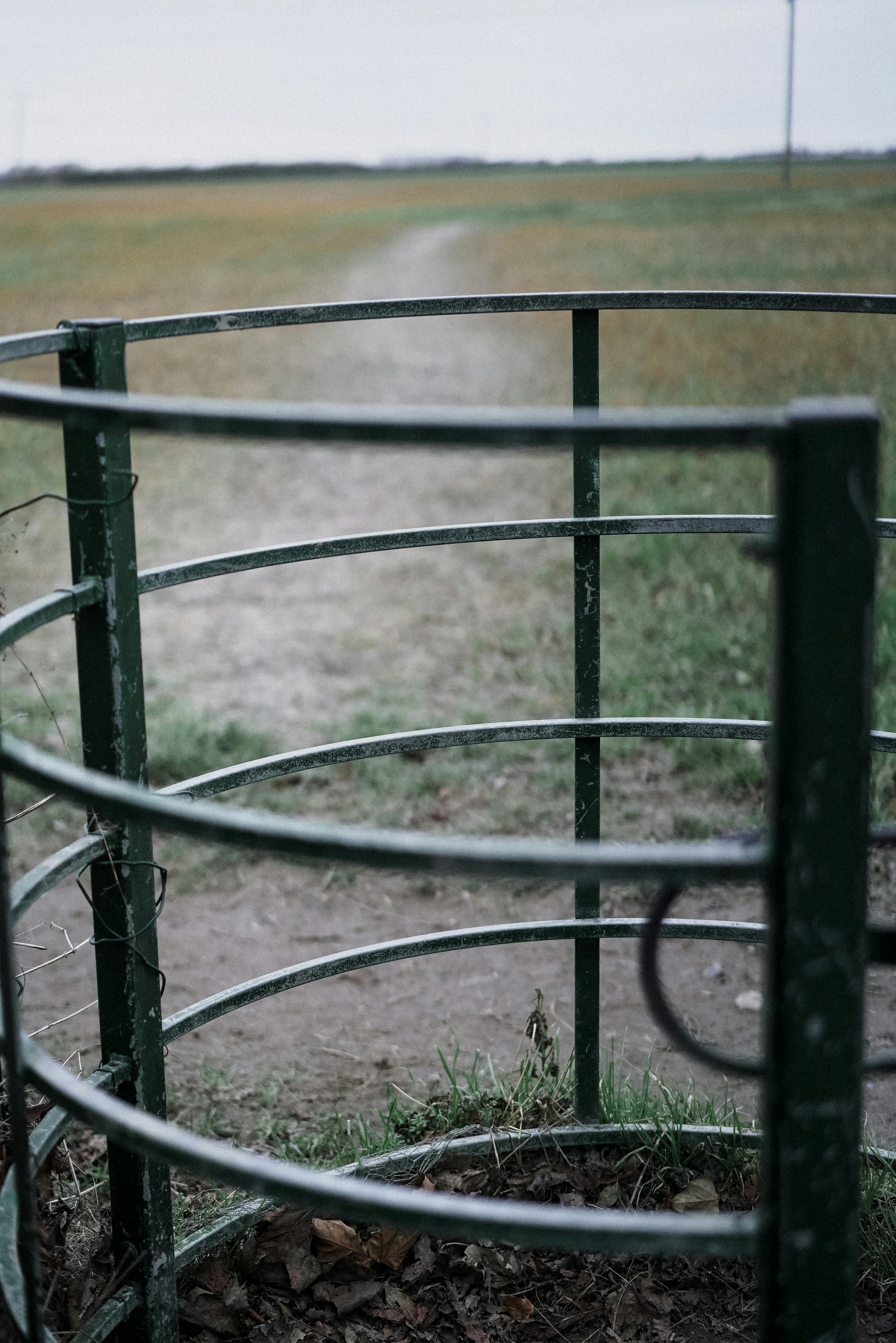 Curved Gate, Distant Field: A Quiet Path Through Weathered Iron