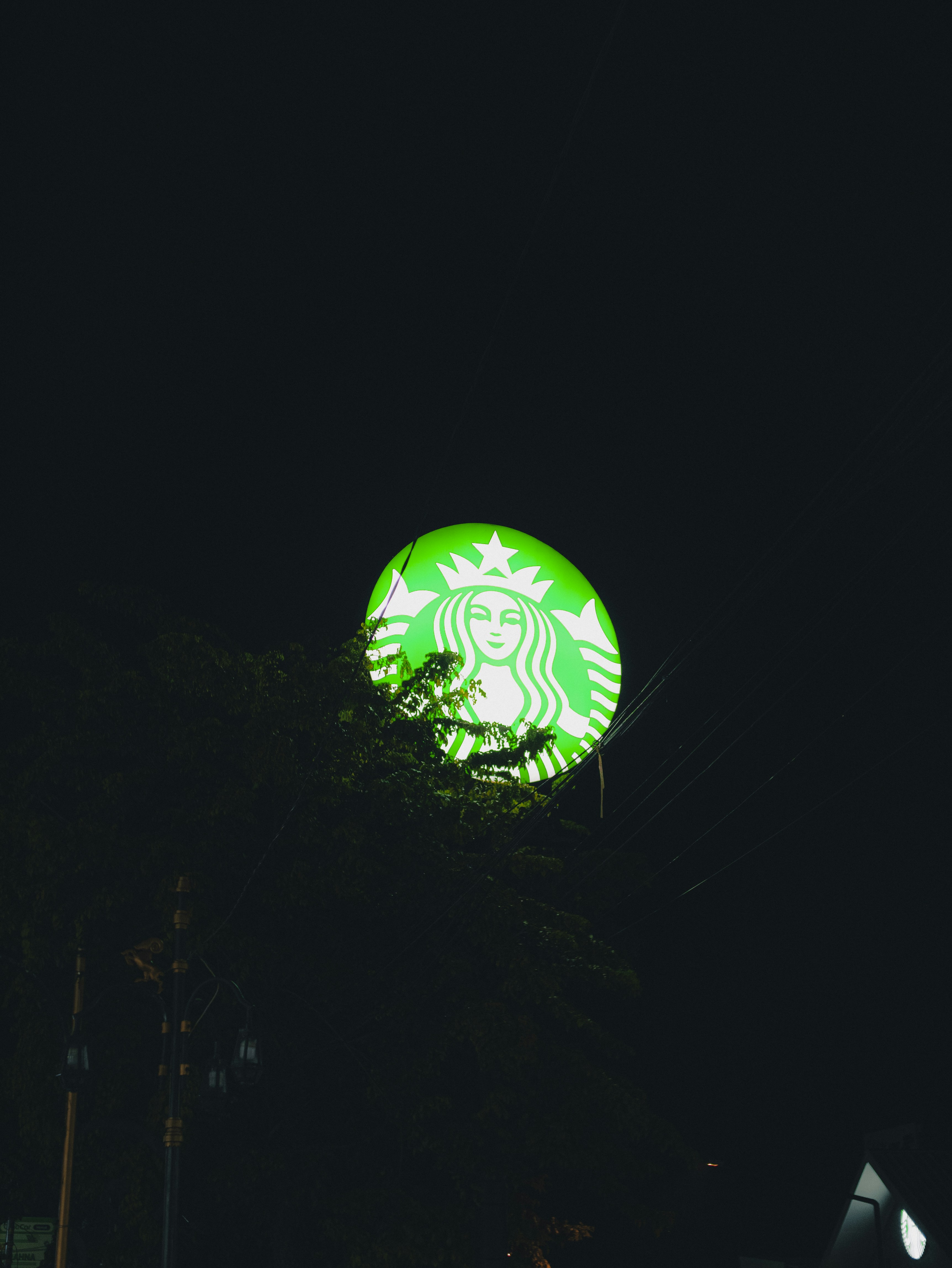 Night-green Siren Above the Canopy: Starbucks Sign Emerges Through the Trees