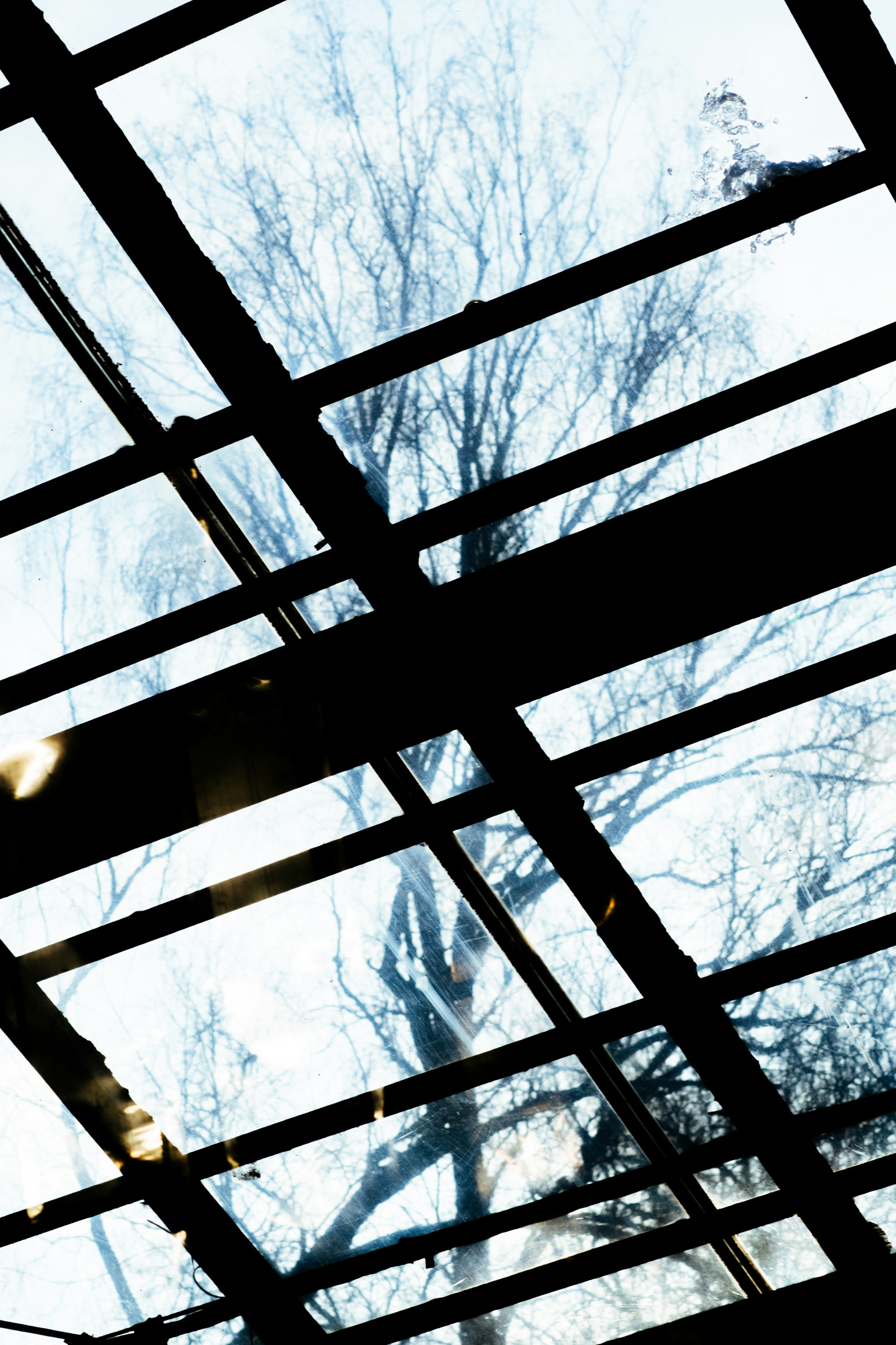 A view of a tree through a window photo – Free Window Image on Unsplash