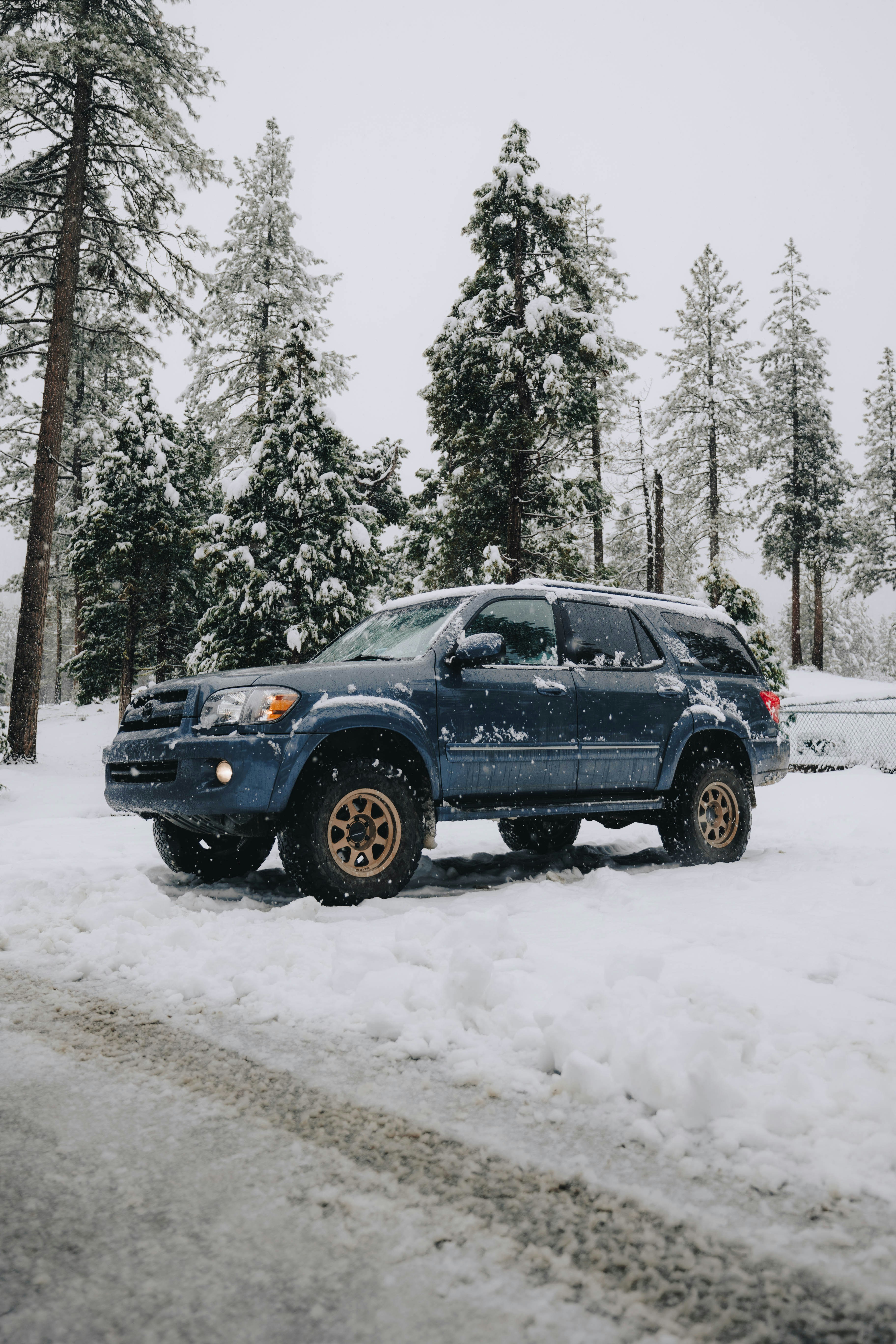 Snowbound SUV Rests Among Silent Pines