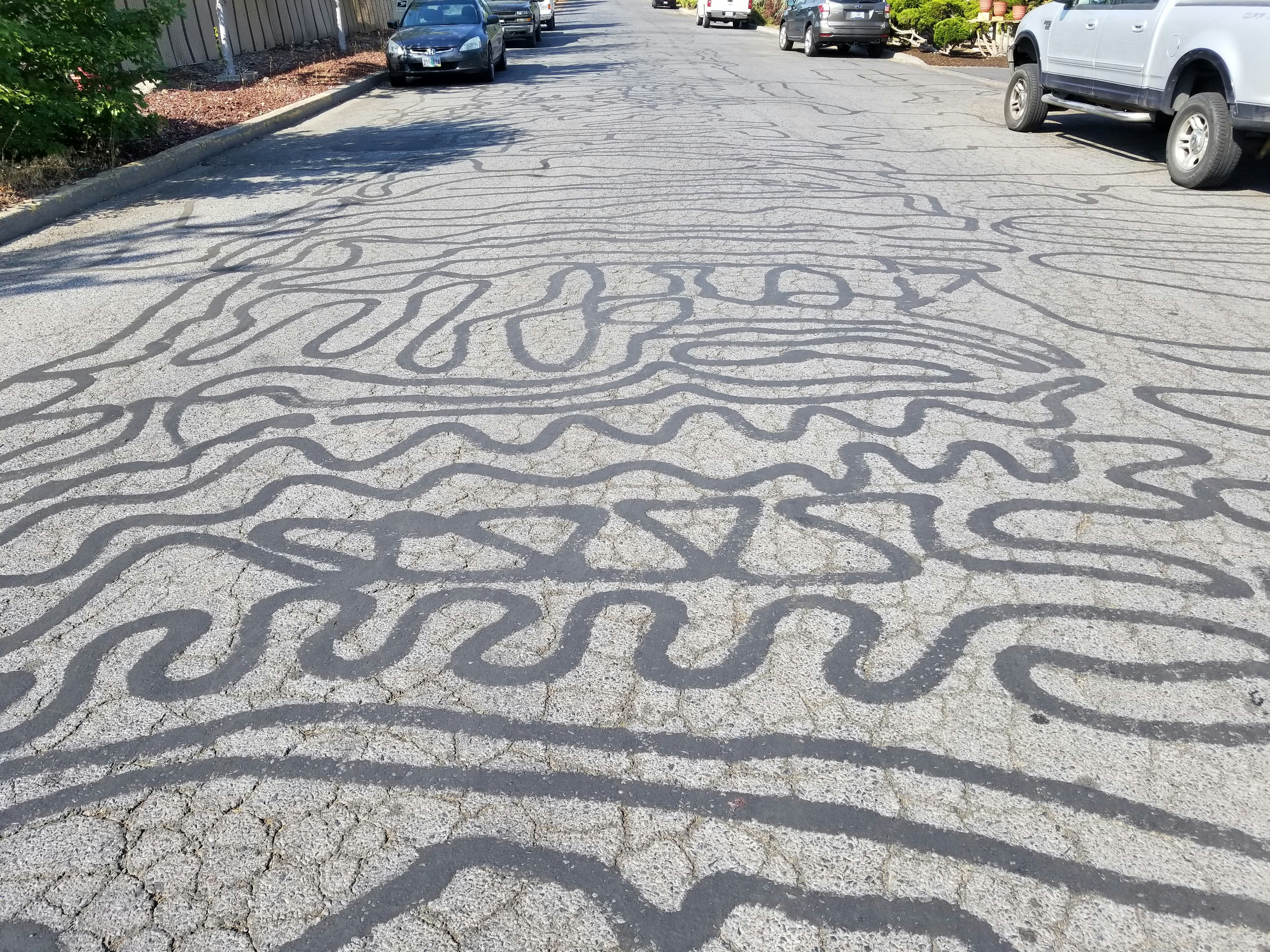 Intricate crack sealing patterns cover a sunlit urban road.