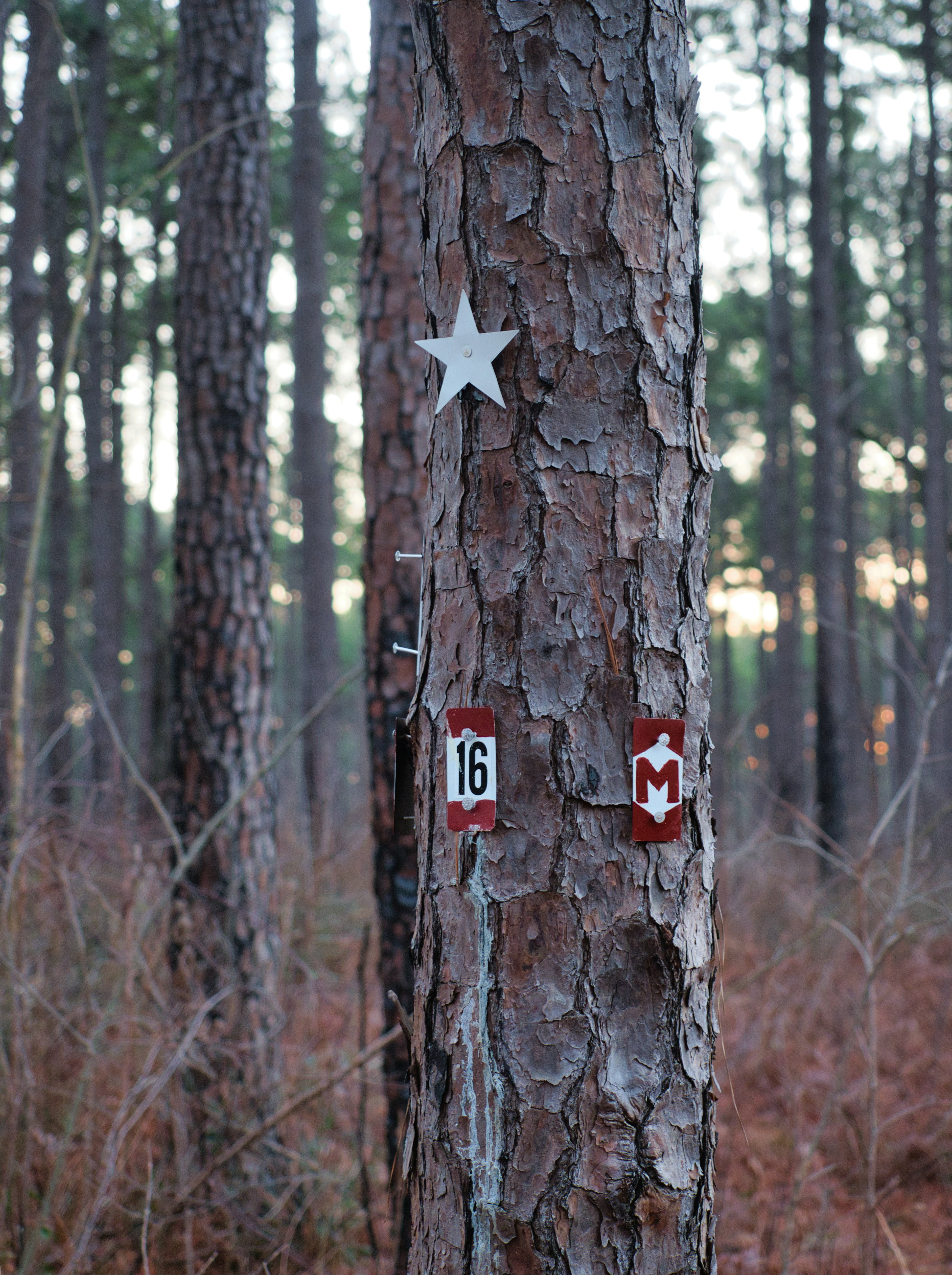 Photo by christopher nettuno with Olympus OM-D E-M1 Mark II