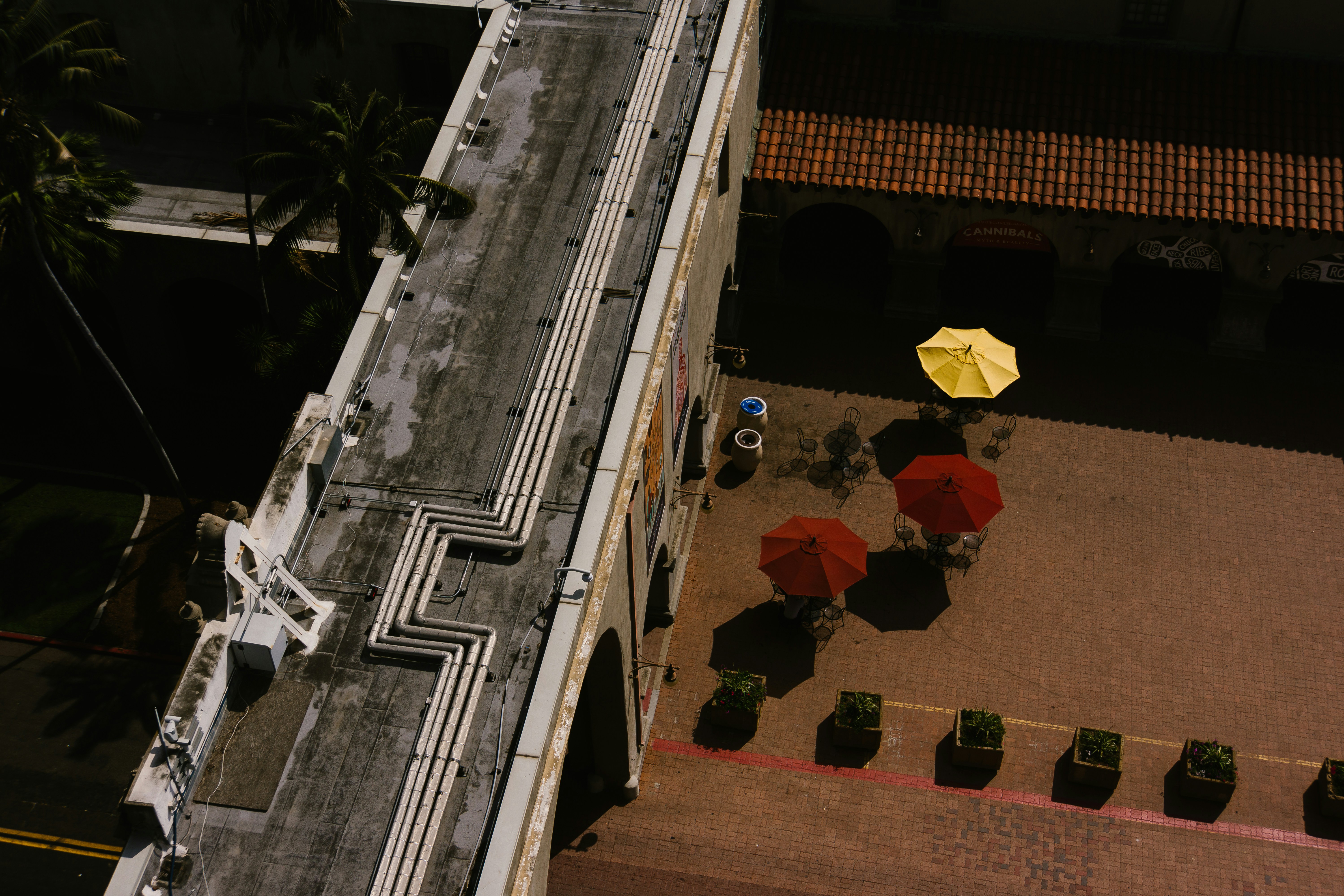 A Dance of Shadows and Sunlight in an Urban Oasis