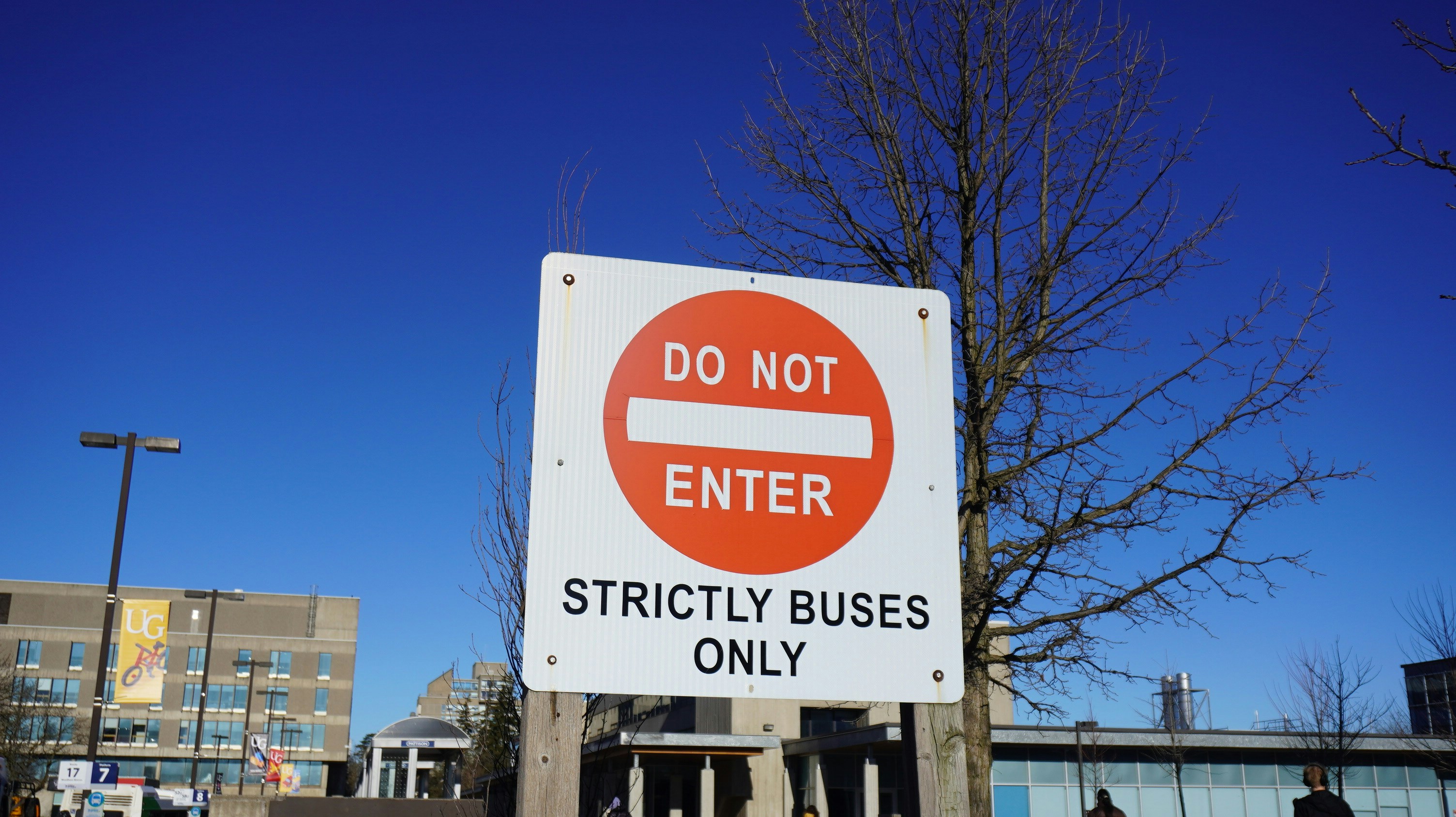 'Do Not Enter' sign with 'Strictly Buses Only' notice against a clear blue sky.