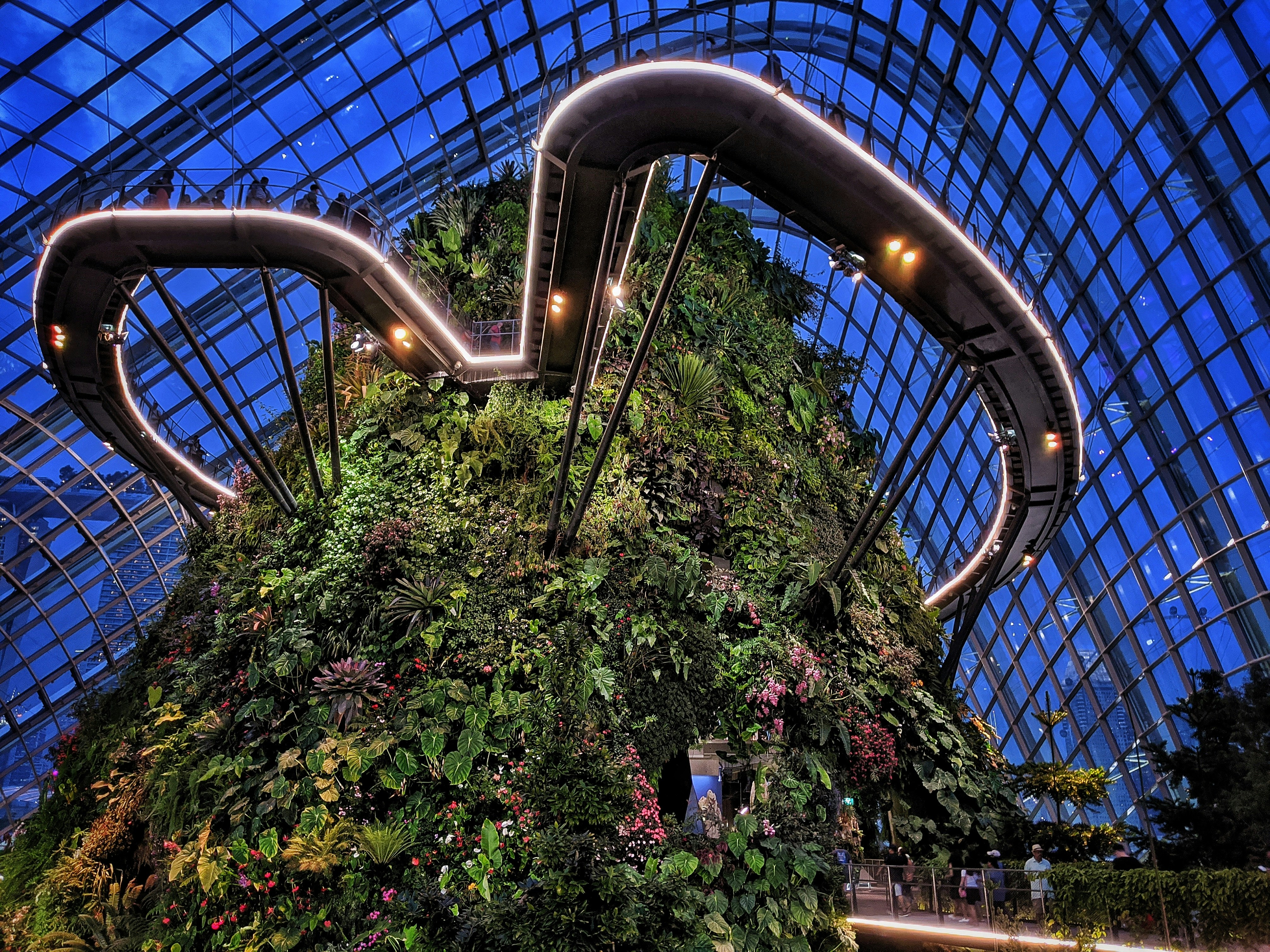 Neon-Loop Ascends a Verdant Living Wall in a Glass-Domed Conservatory