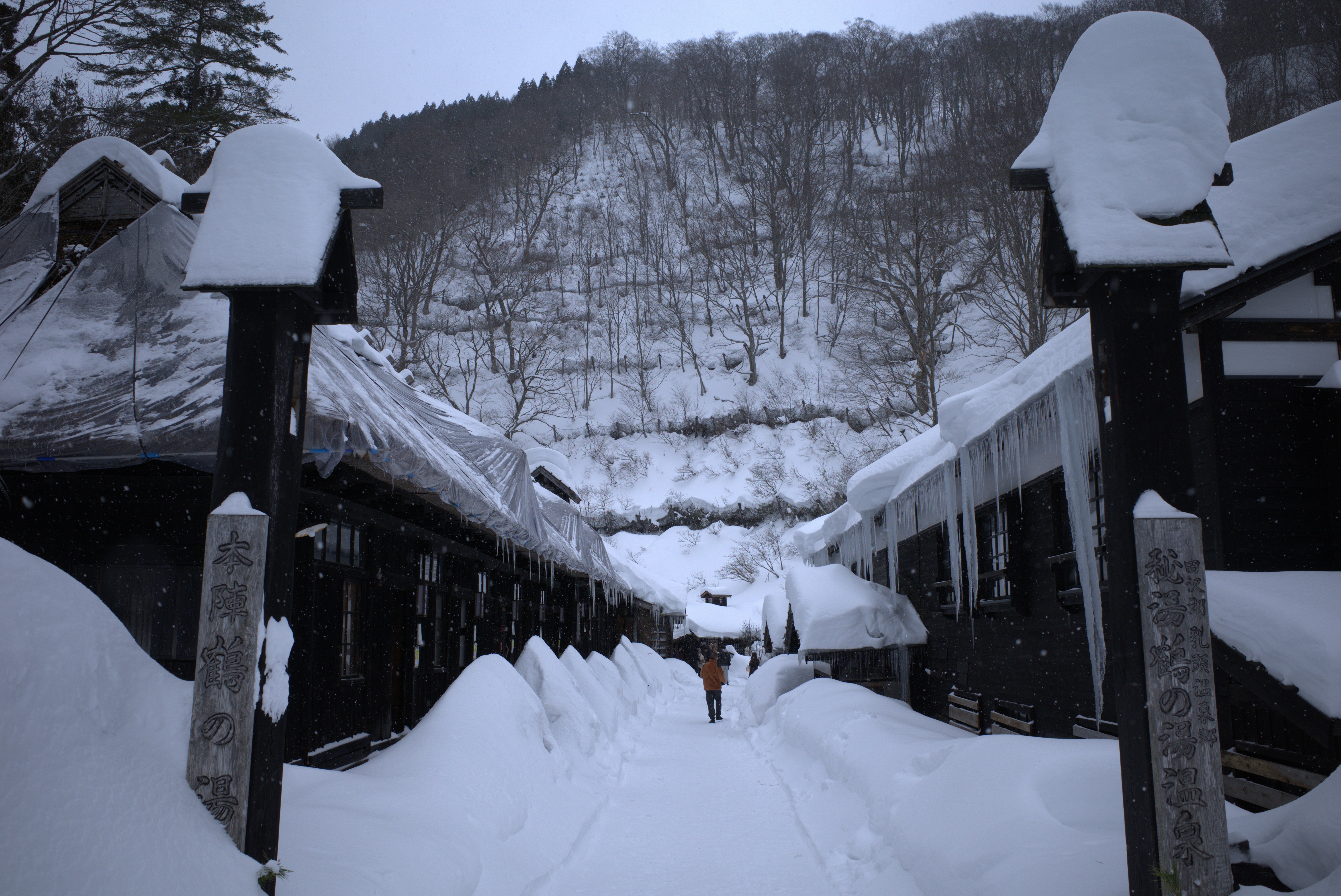 A person walking through a snow covered path photo – Free Akita Image ...