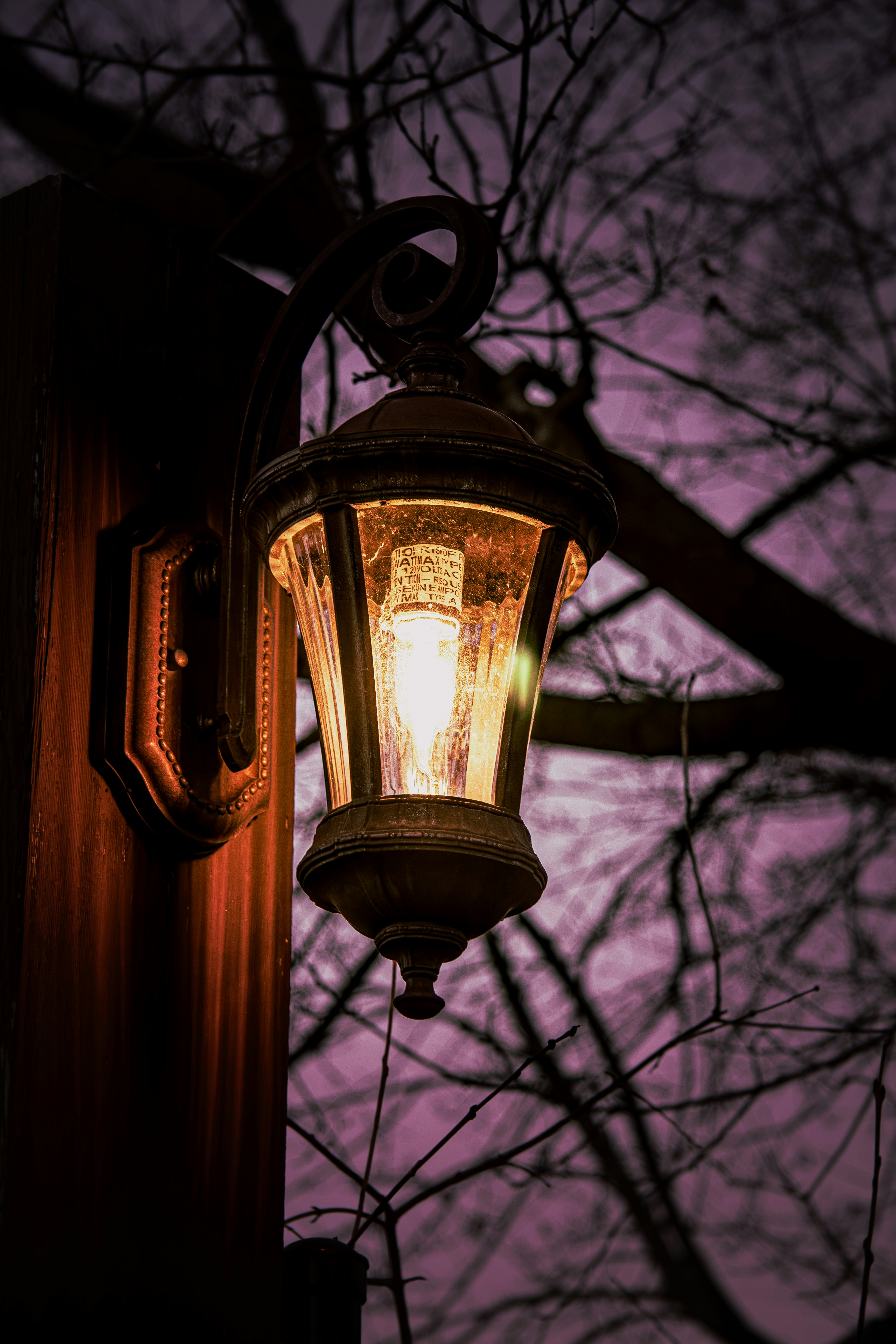1000+ Lamp Post Pictures | Download Free Images on Unsplash