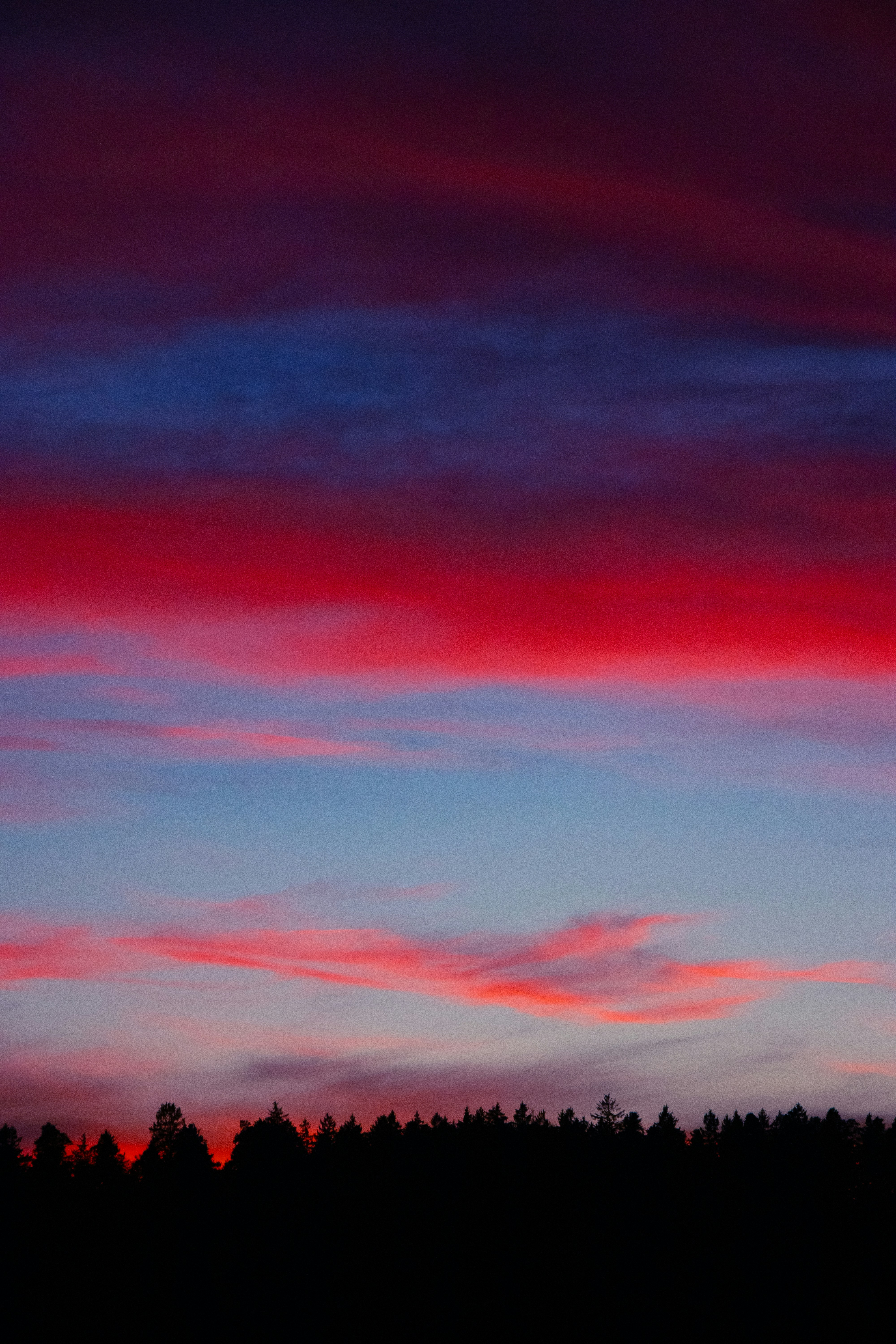 A red and blue sky with trees in the background photo – Free Sky Image ...