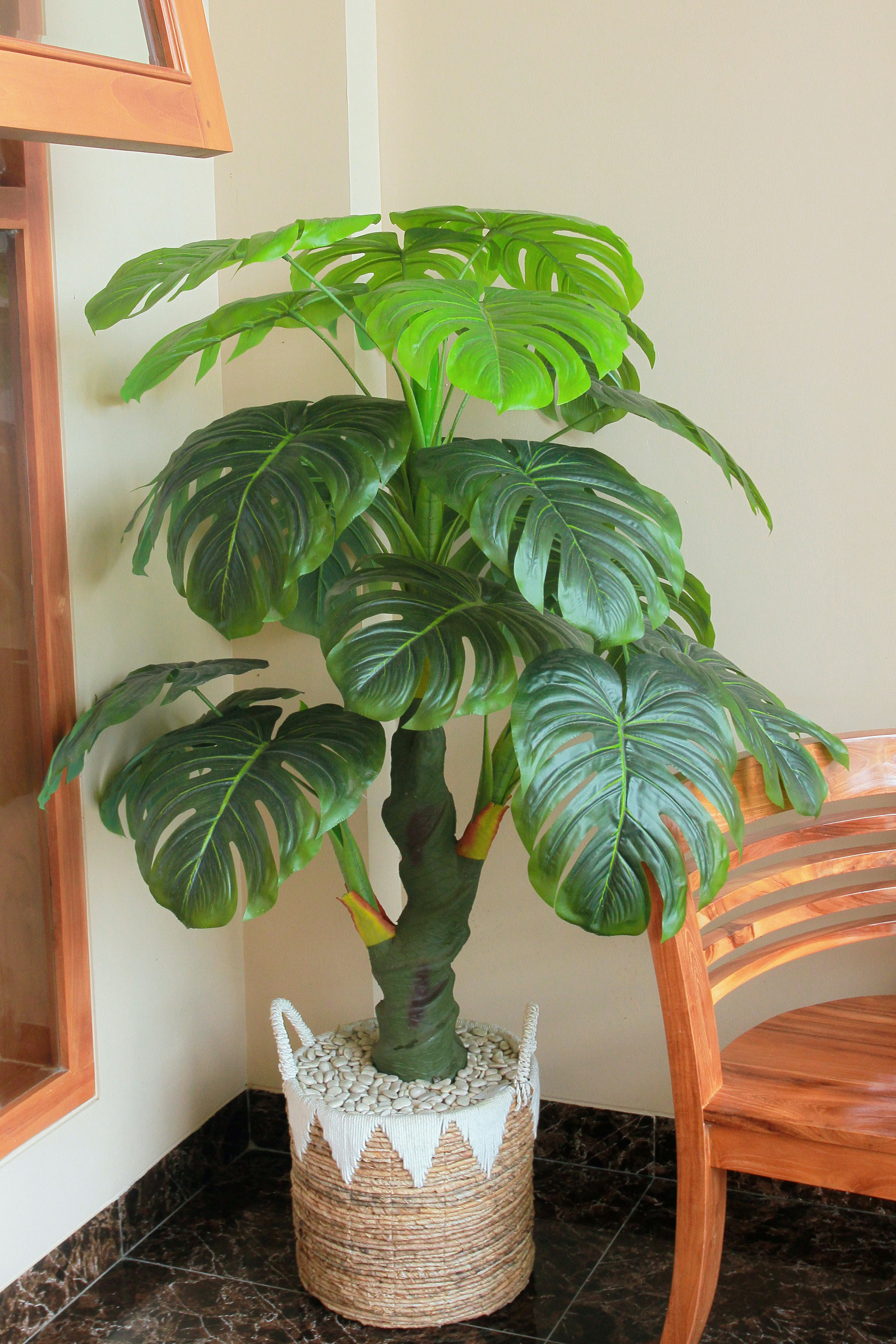 Sunlit Monstera Deliciosa Anchored in a Braided Basket