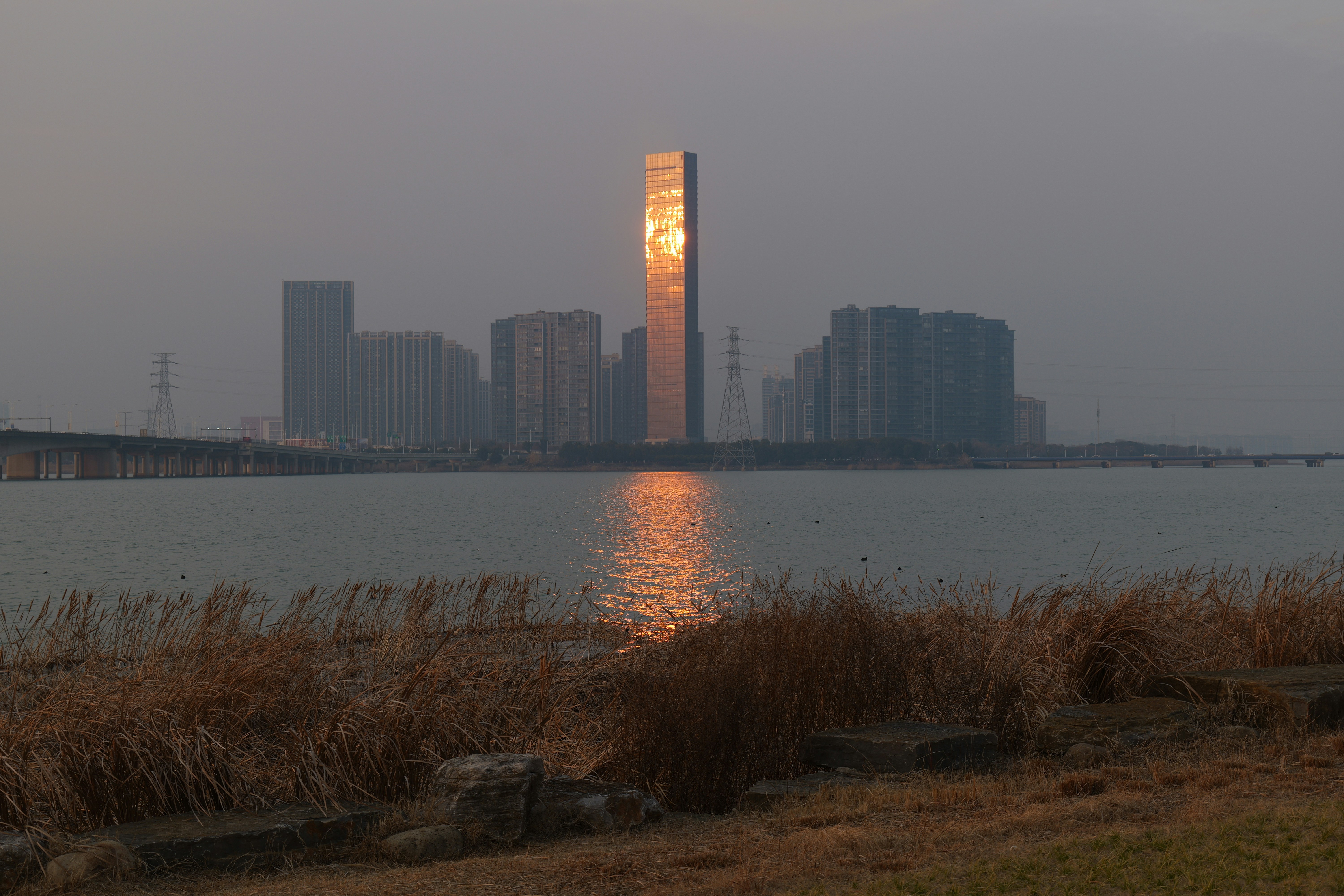 Sample photo from Panasonic Lumix S5 II